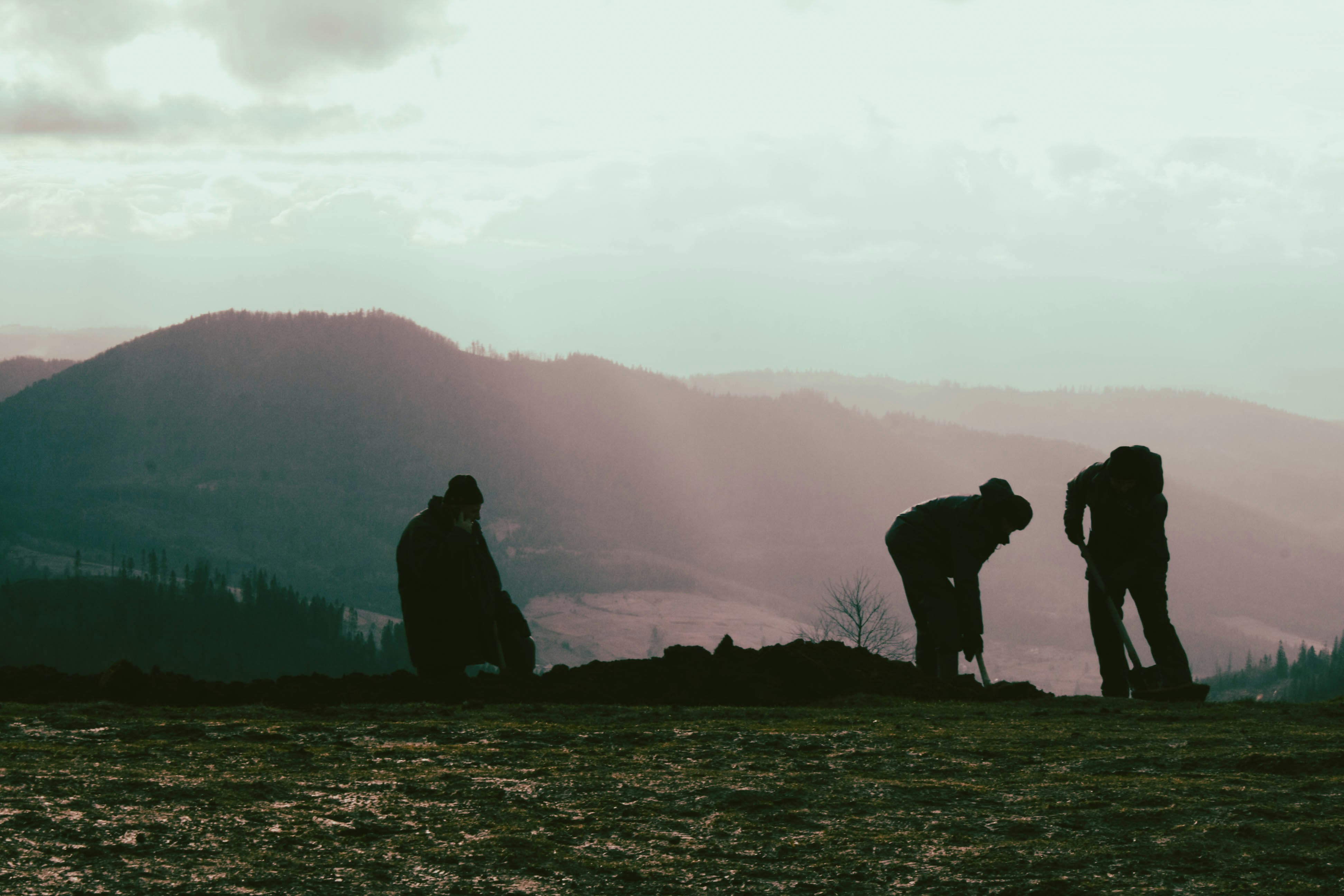 Dawn Silhouettes on the Ridge: Quiet Encounter with the Horizon