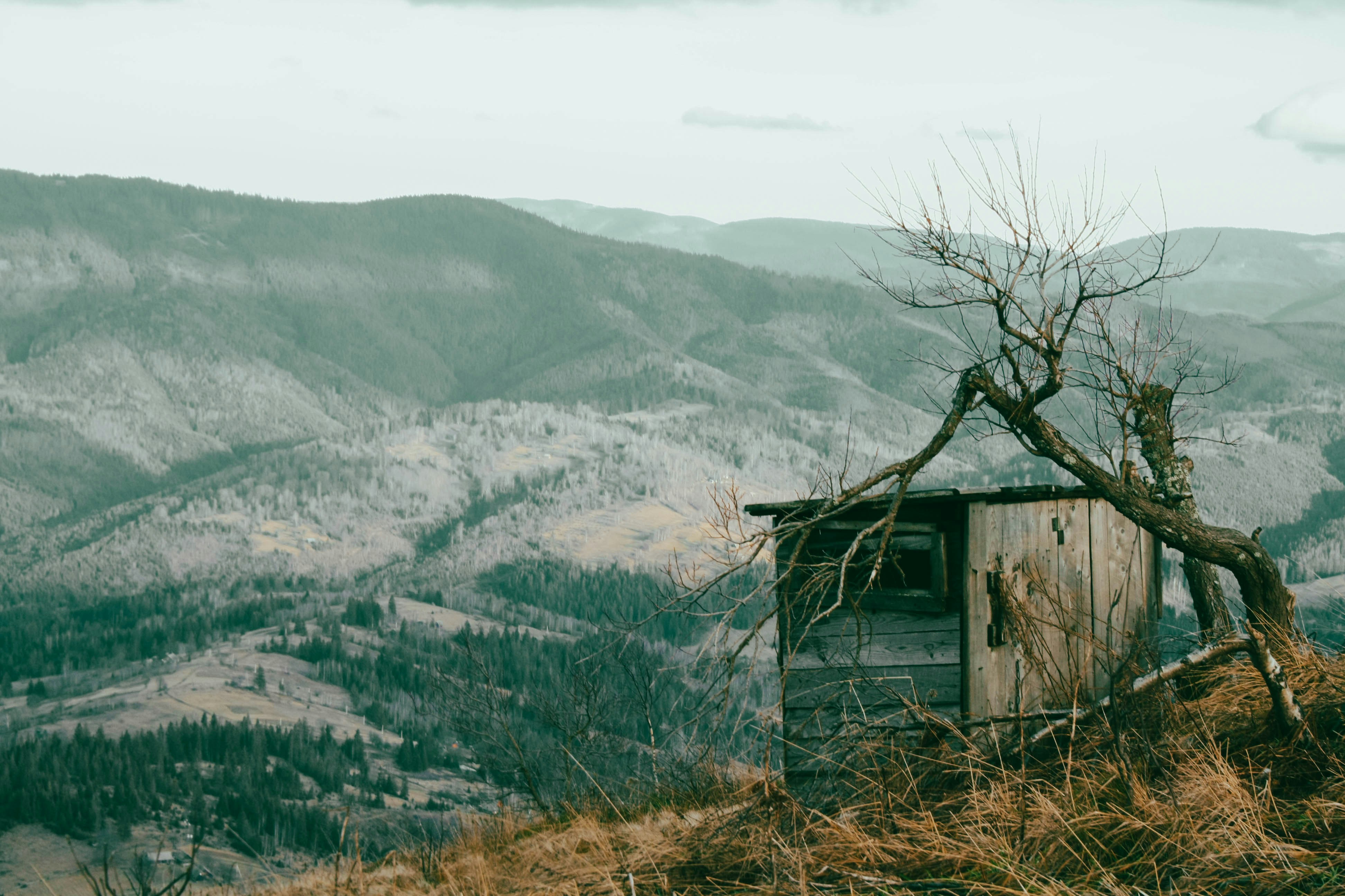 An outhouse on top of a hill with a view of mountains photo – Free Wood ...