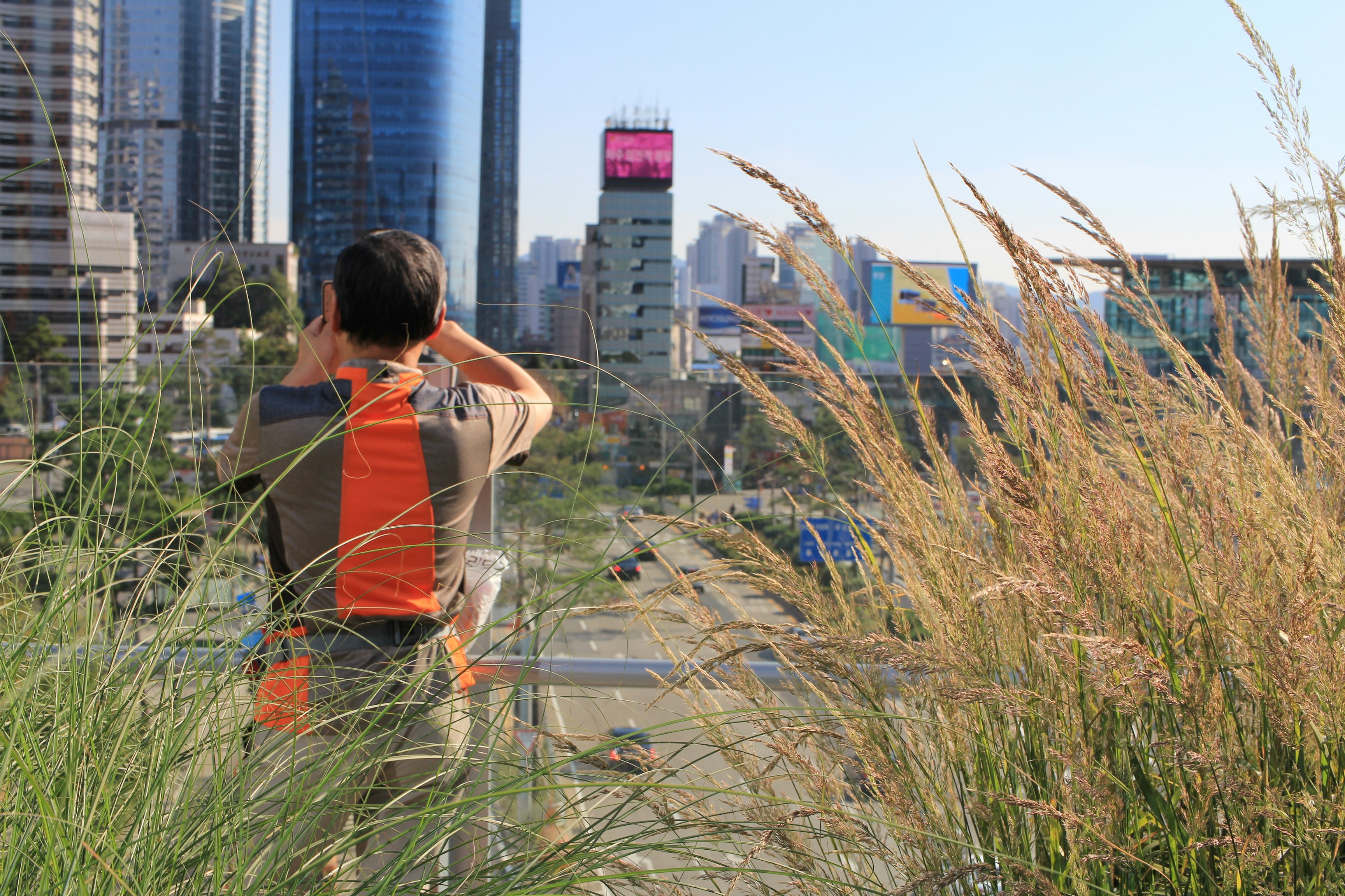 Urban Explorer Amidst the Skyline