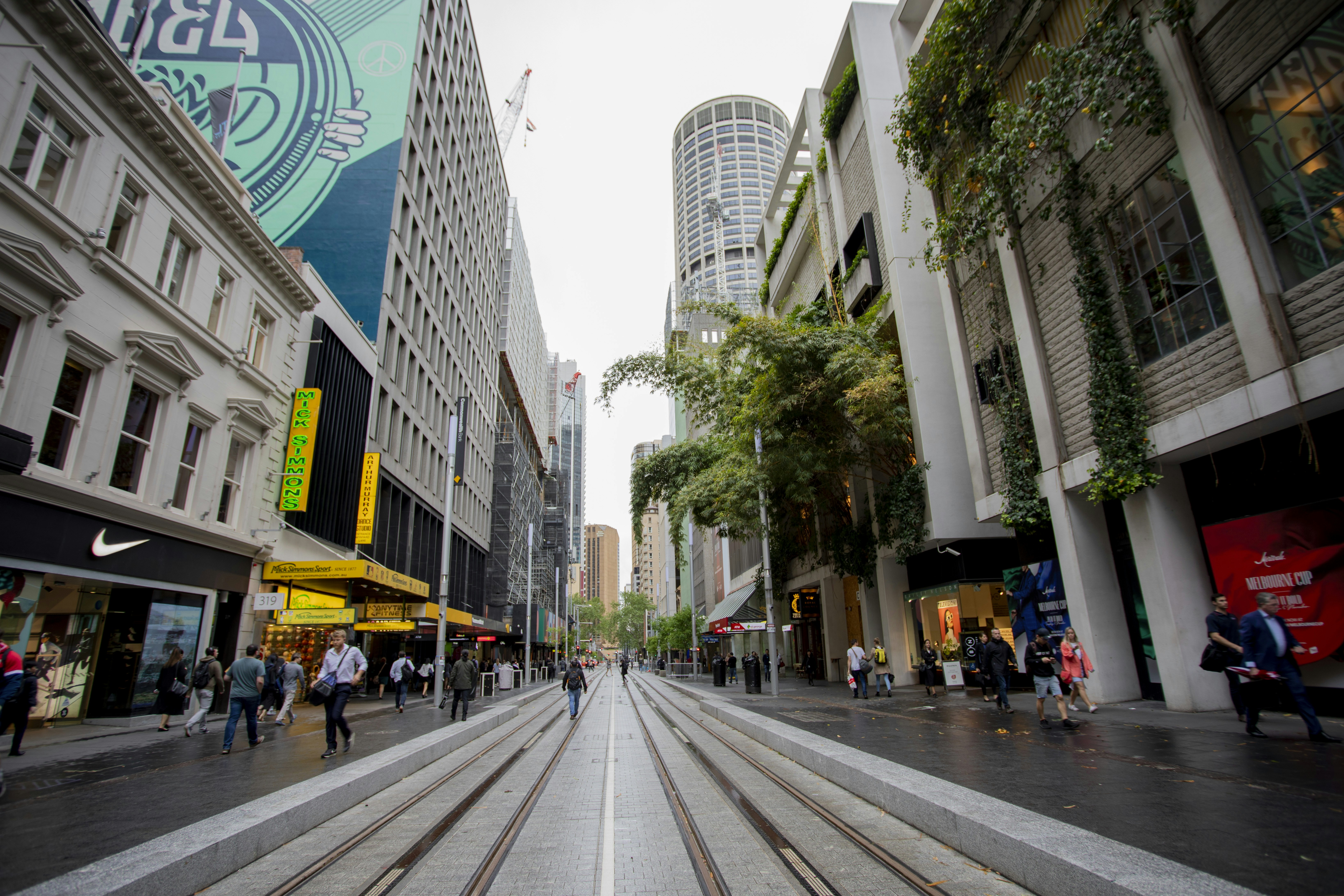 5 Daytime Activities to Enjoy in Western Sydney - Sf bay Concerts