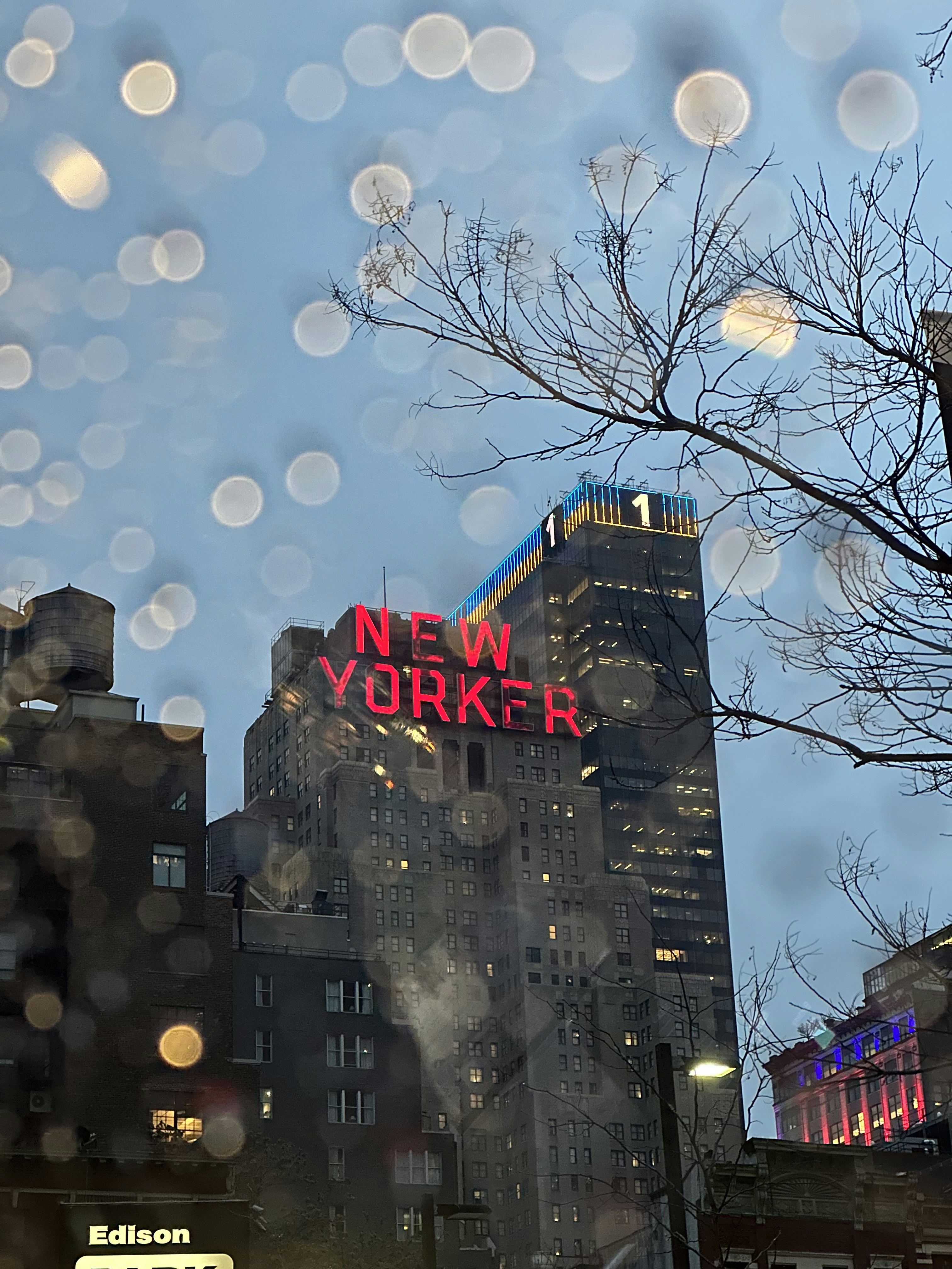 A rainy evening in New York City, capturing the iconic New Yorker sign glowing vividly against a dusky blue sky. The soft bokeh of raindrops on glass adds a dreamy ambiance, blending the urban architecture with a touch of nature's beauty. The scene is framed by bare tree branches, emphasizing the city's timeless charm and vibrant energy.