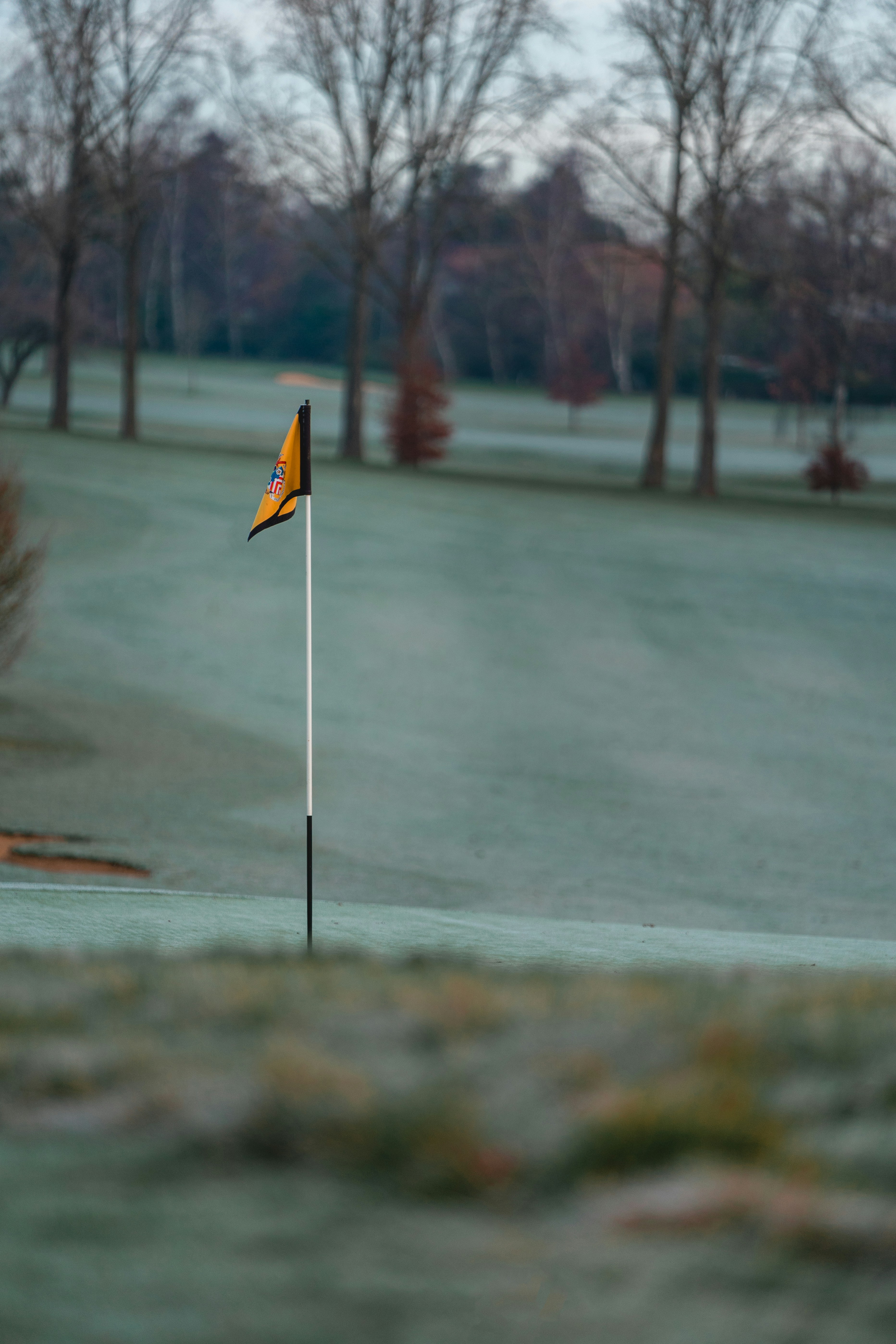 A yellow and black flag on a golf course photo – Free Winter Image on ...