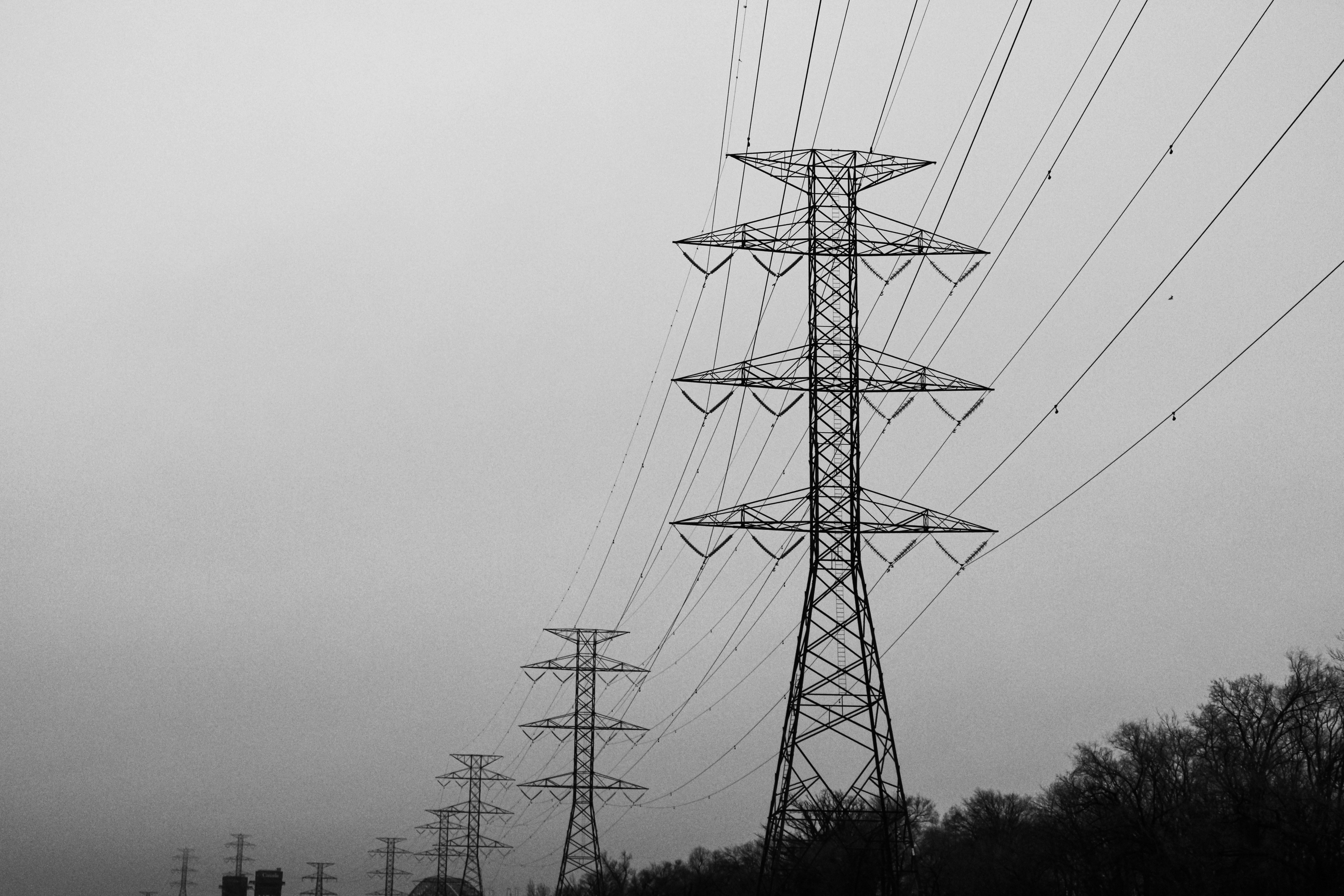 A black and white photo of power lines photo – Free Cable Image on Unsplash