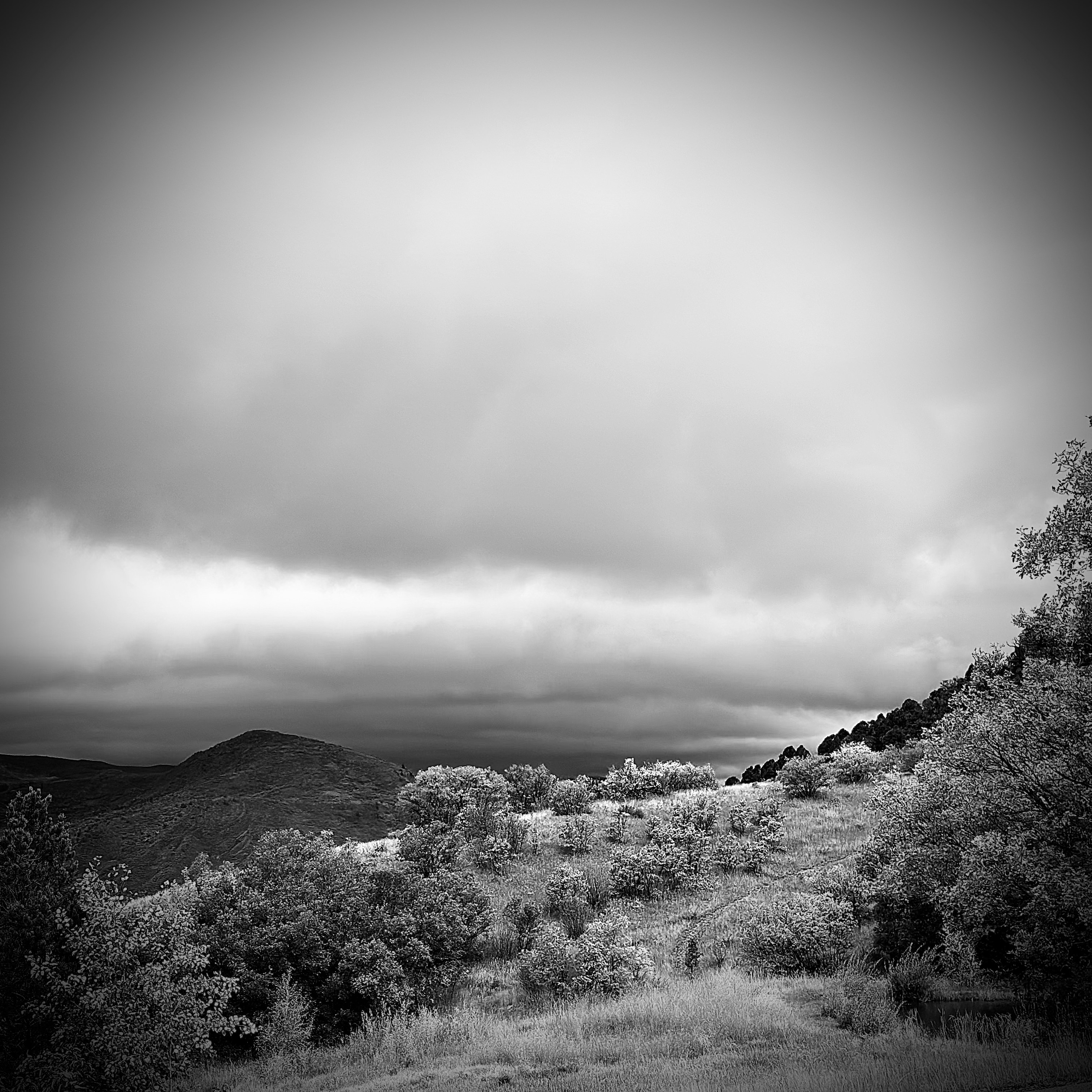 Monochrome Crest: A Quiet Hillscape Beneath a Brooding Sky