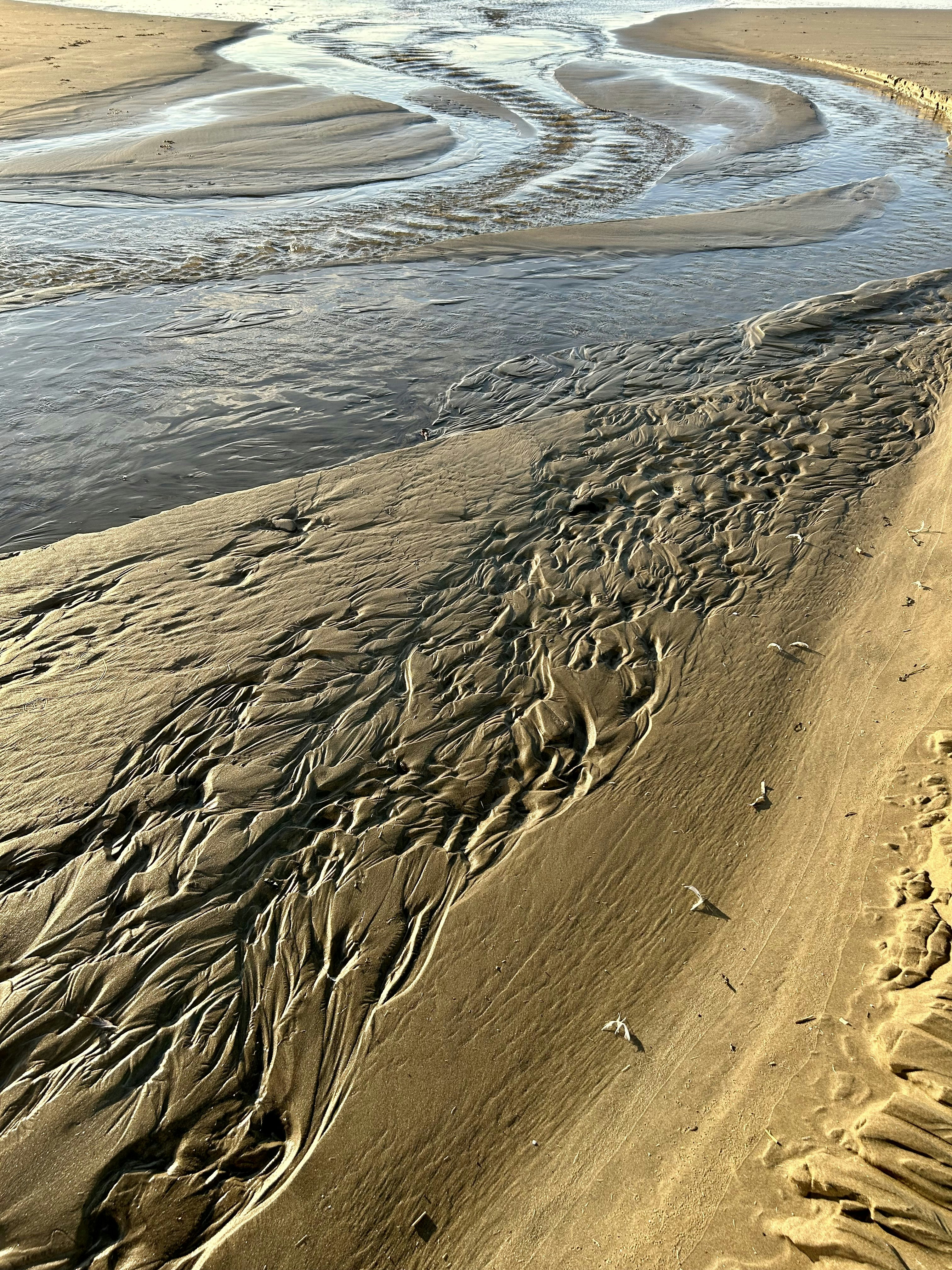Sandy Swirl of water in the sand