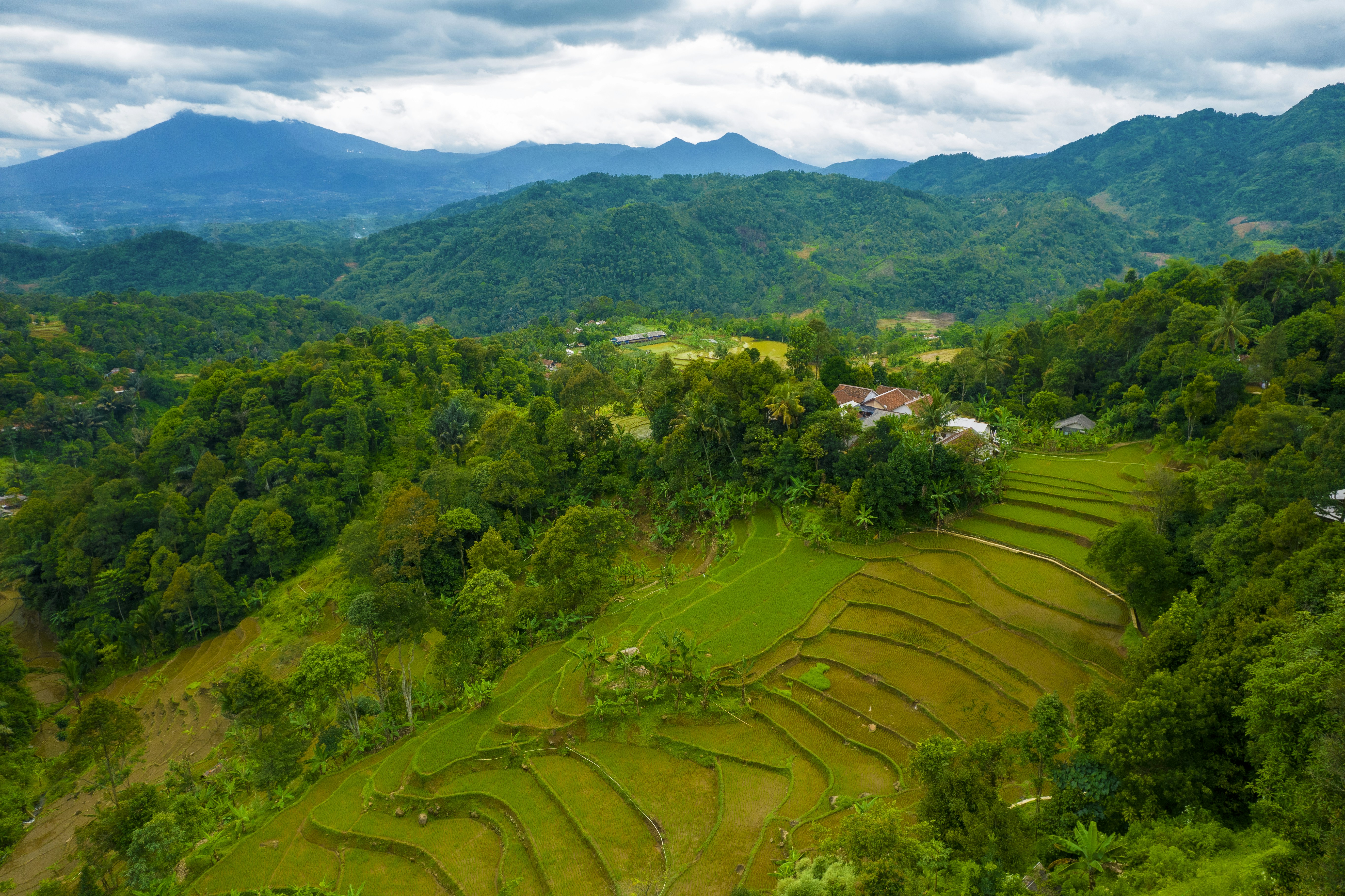 Vue aérienne d’une rizière dans les montagnes photo – Image gratuite de ...