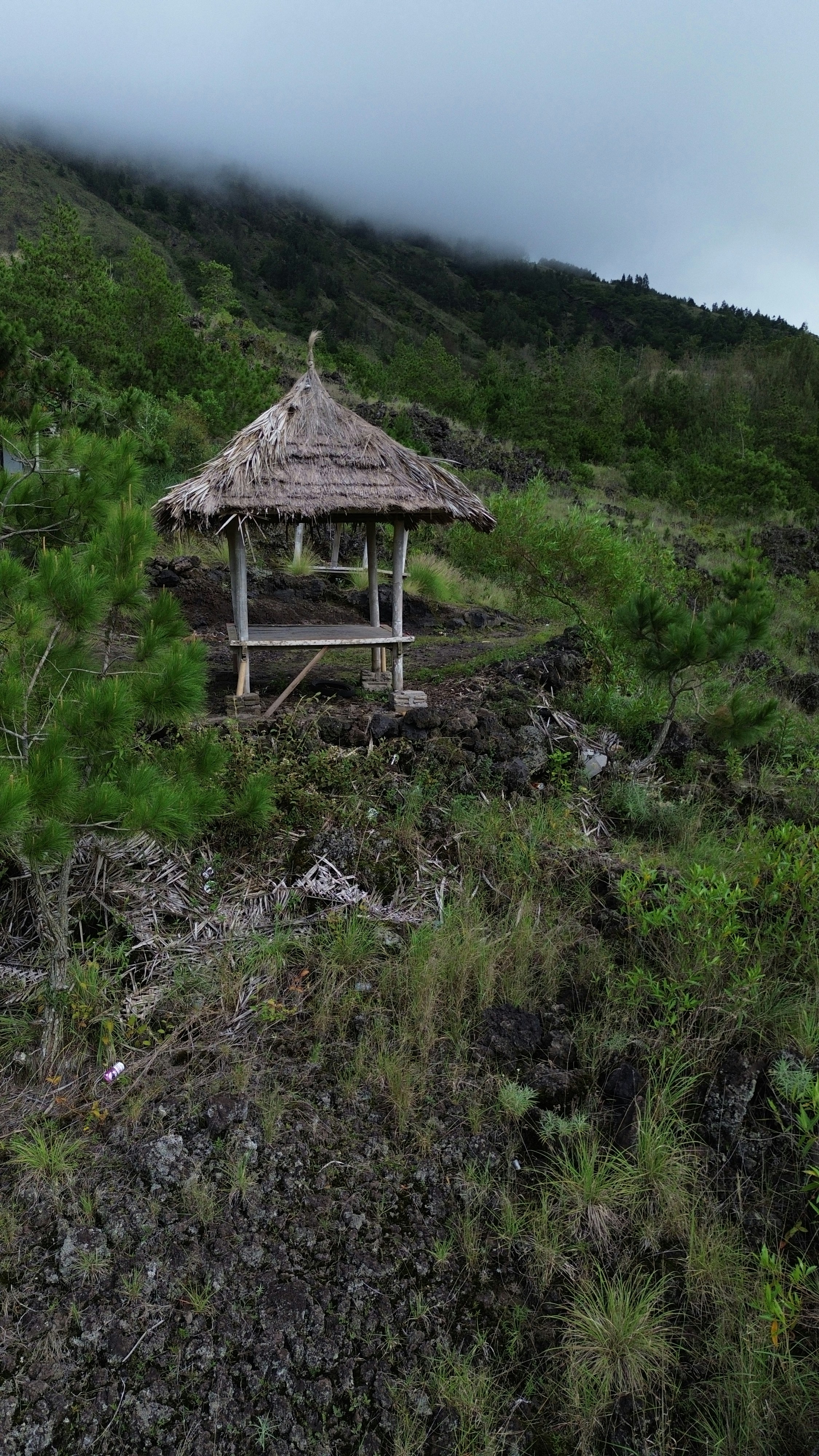 Thatched Shelter Amid Pine-Cocked Hills