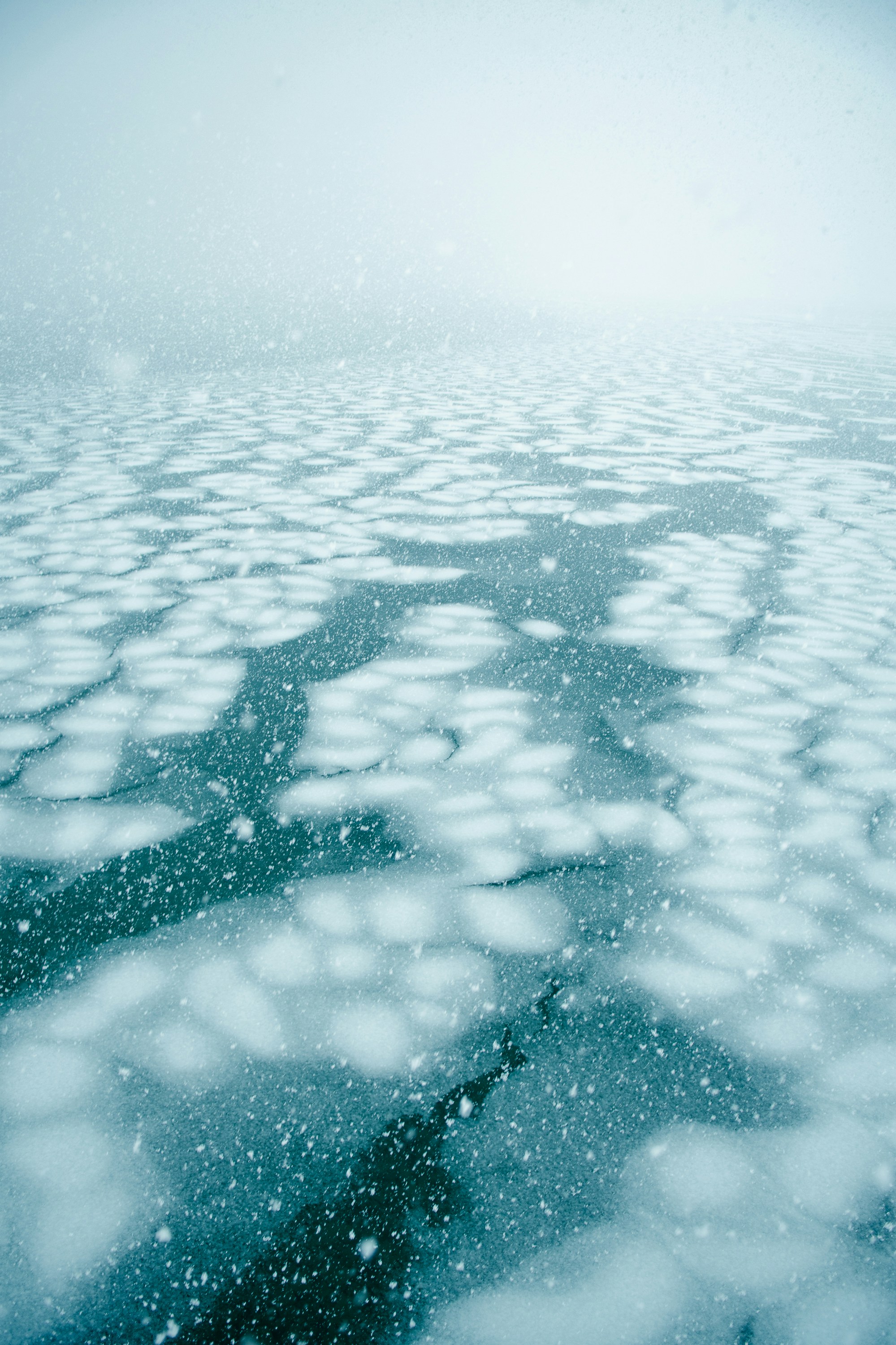 a large amount of ice floating on top of a body of water