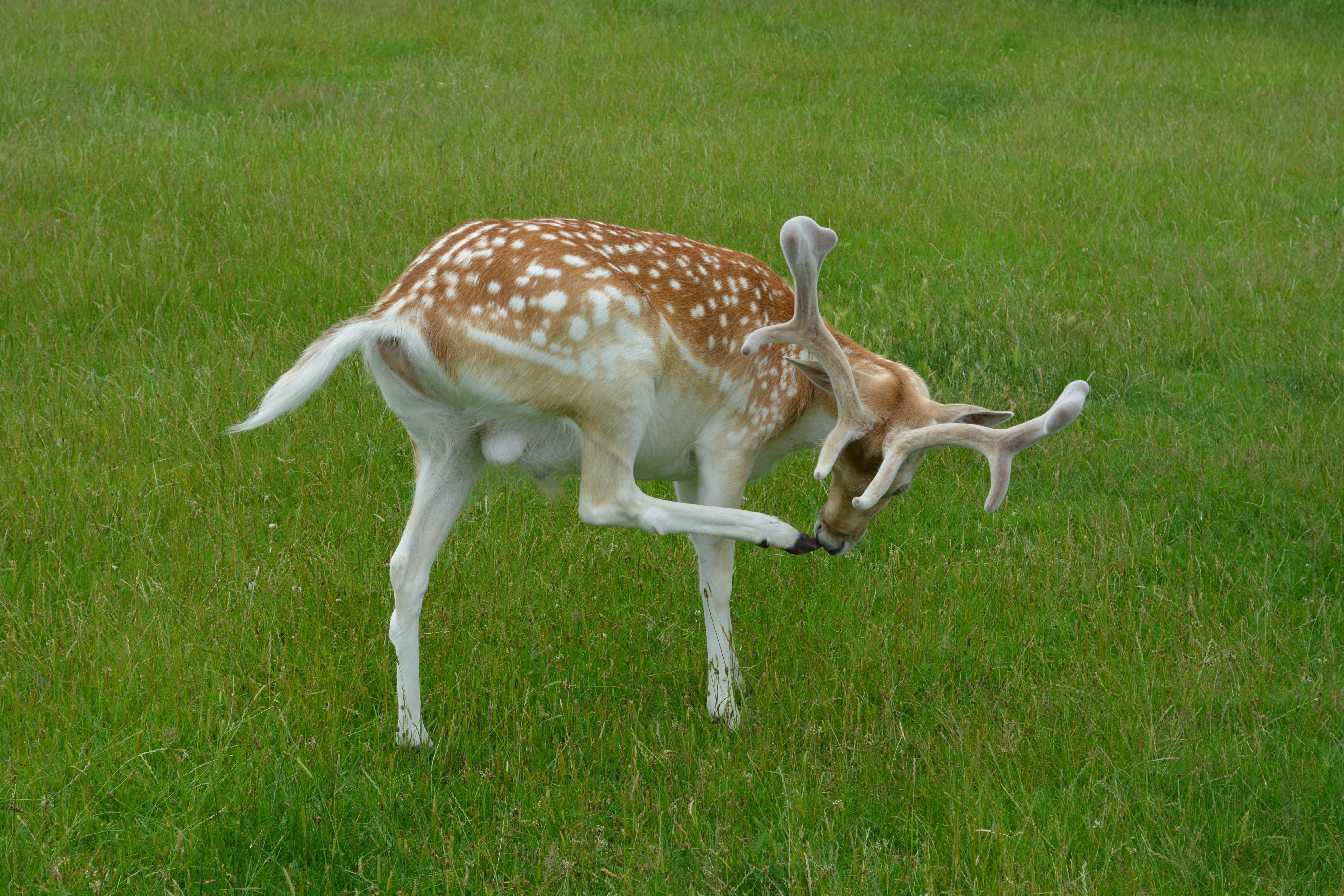 Photo by Shaun Rainer with Nikon D5200