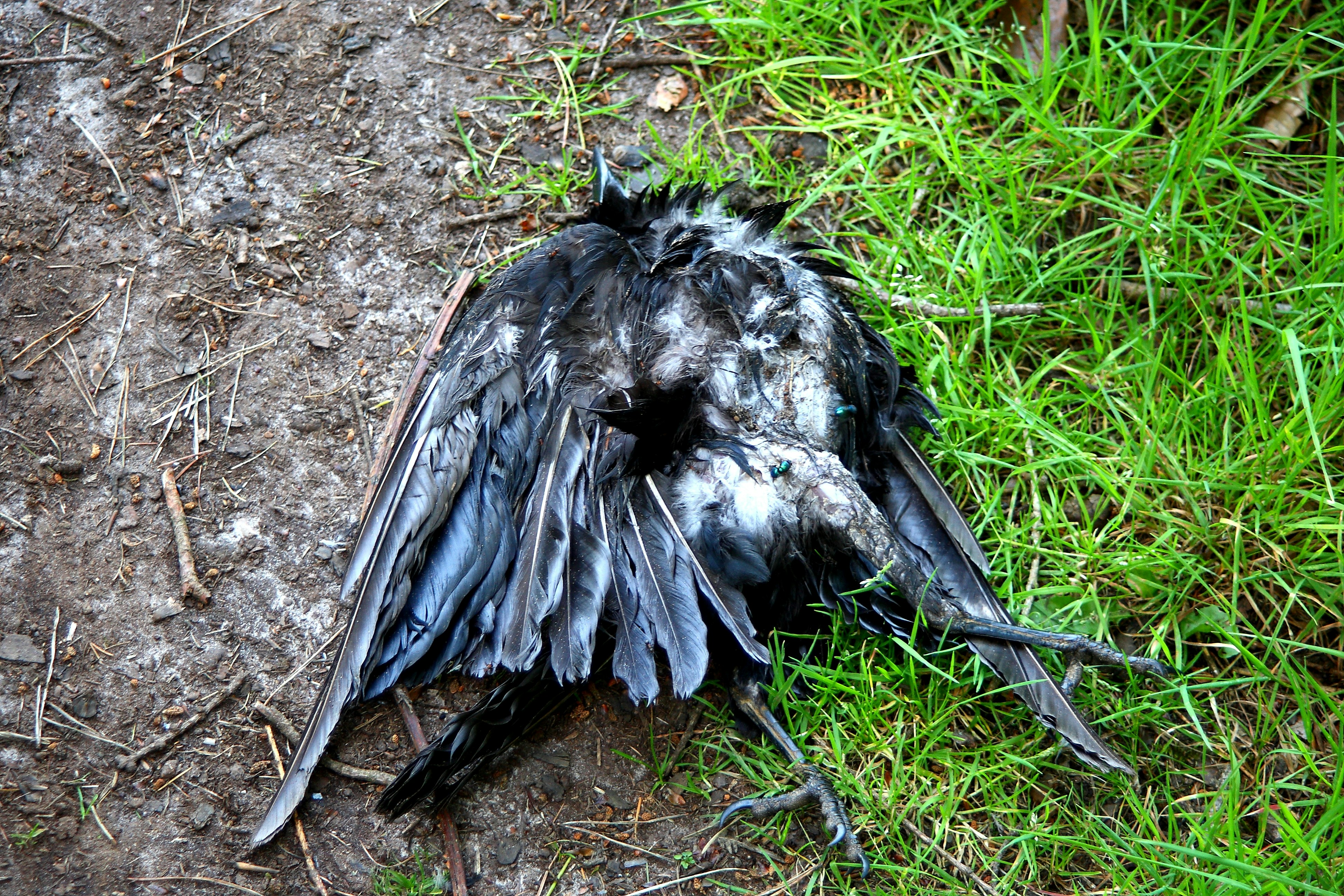 Photo by Benjamin Jameson with CANON EOS-1D Mark III