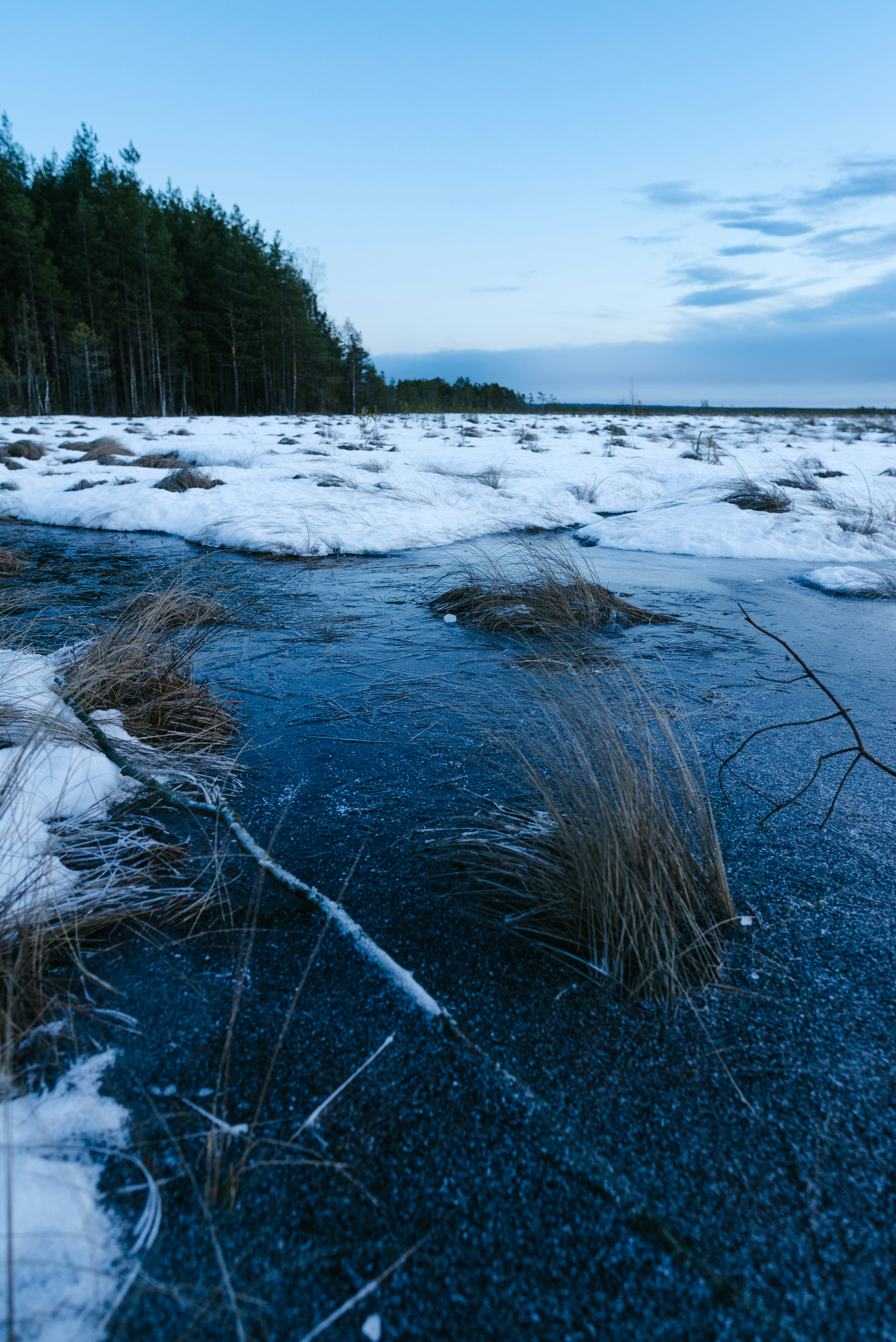 Frozen Serenity: A Winter's Embrace