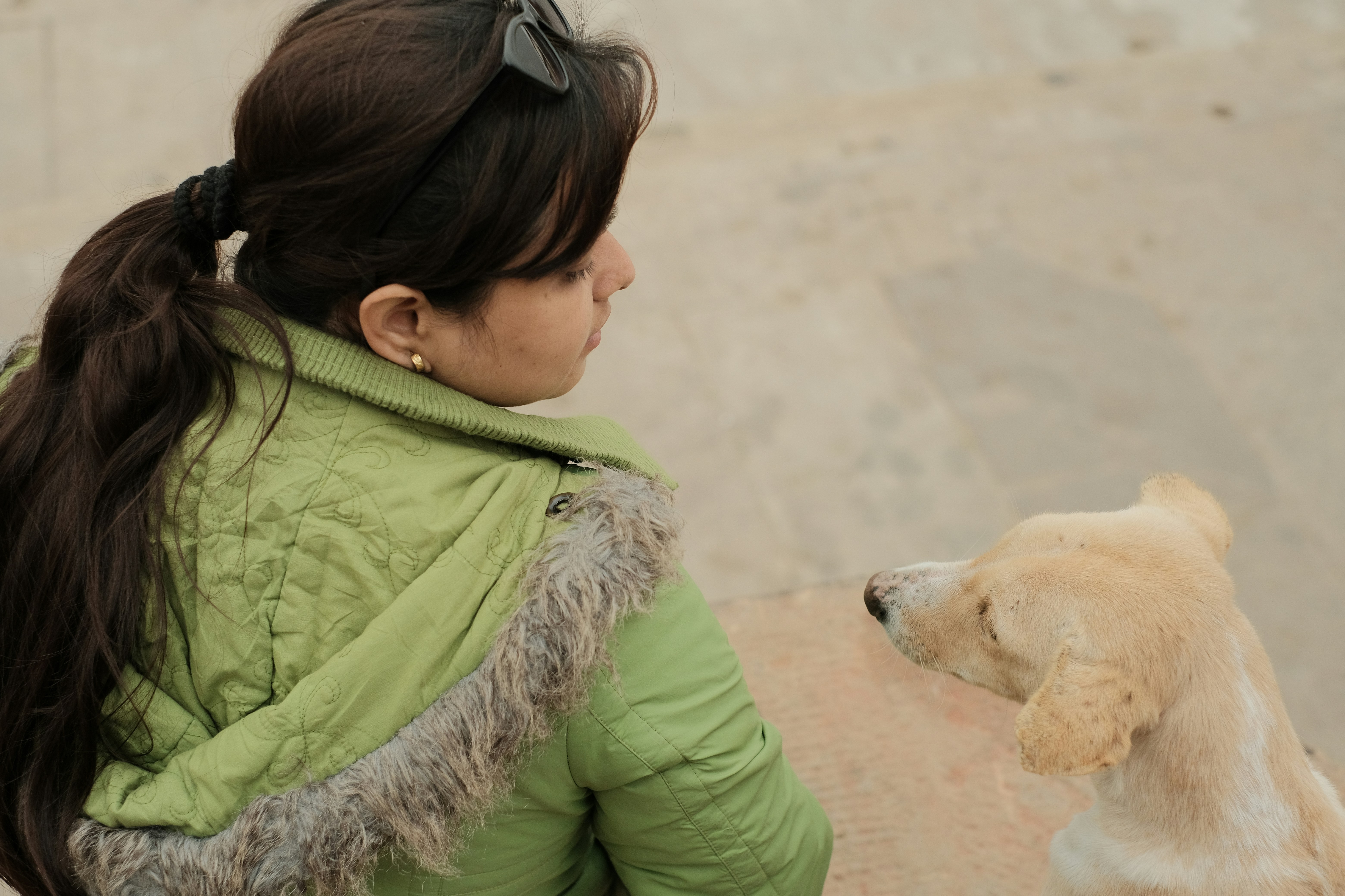 Person in a green jacket sits beside a golden dog on a sandy surface.