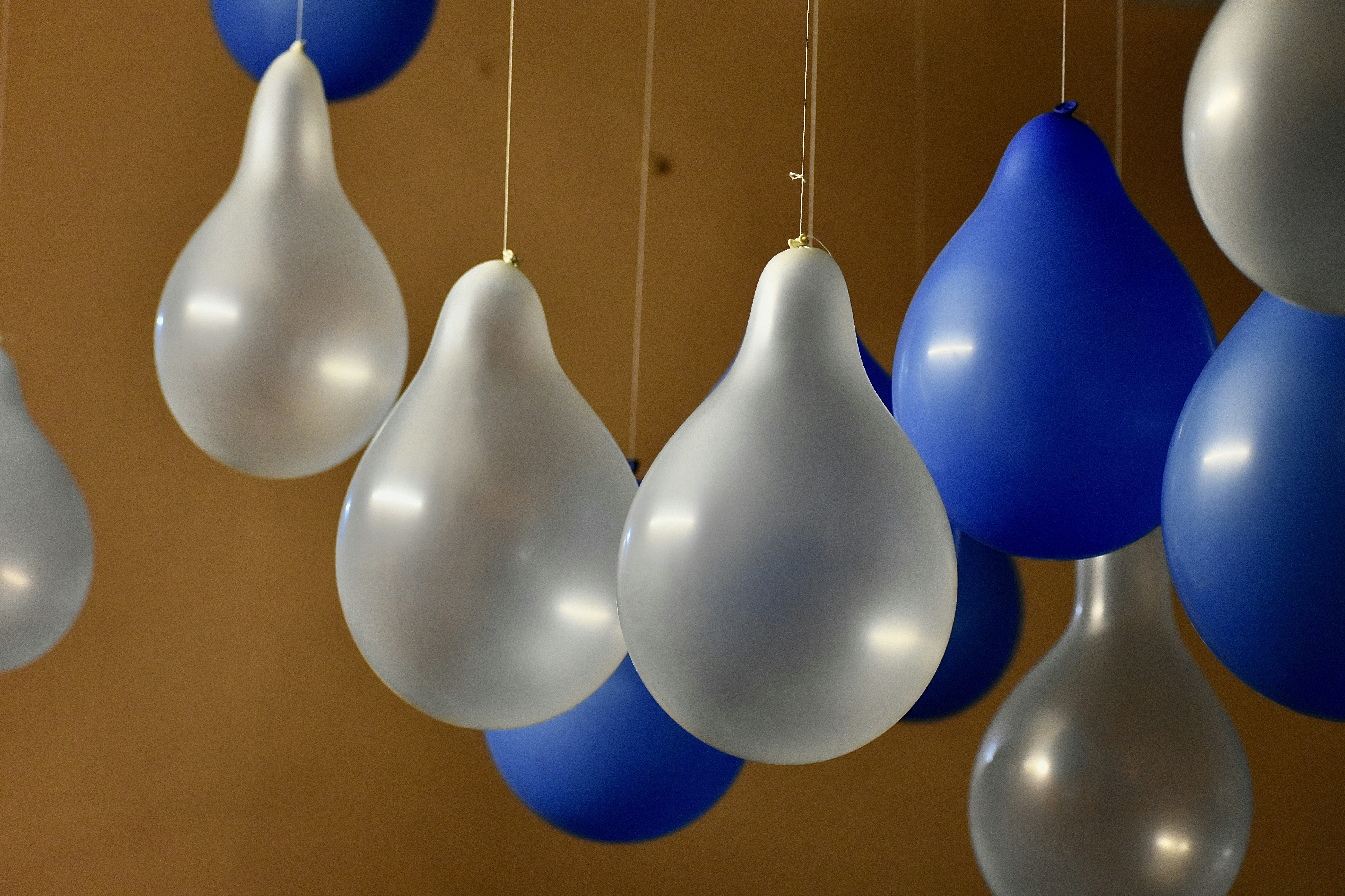 Whispers of White and Blue: Balloons Drift in a Warm Backdrop