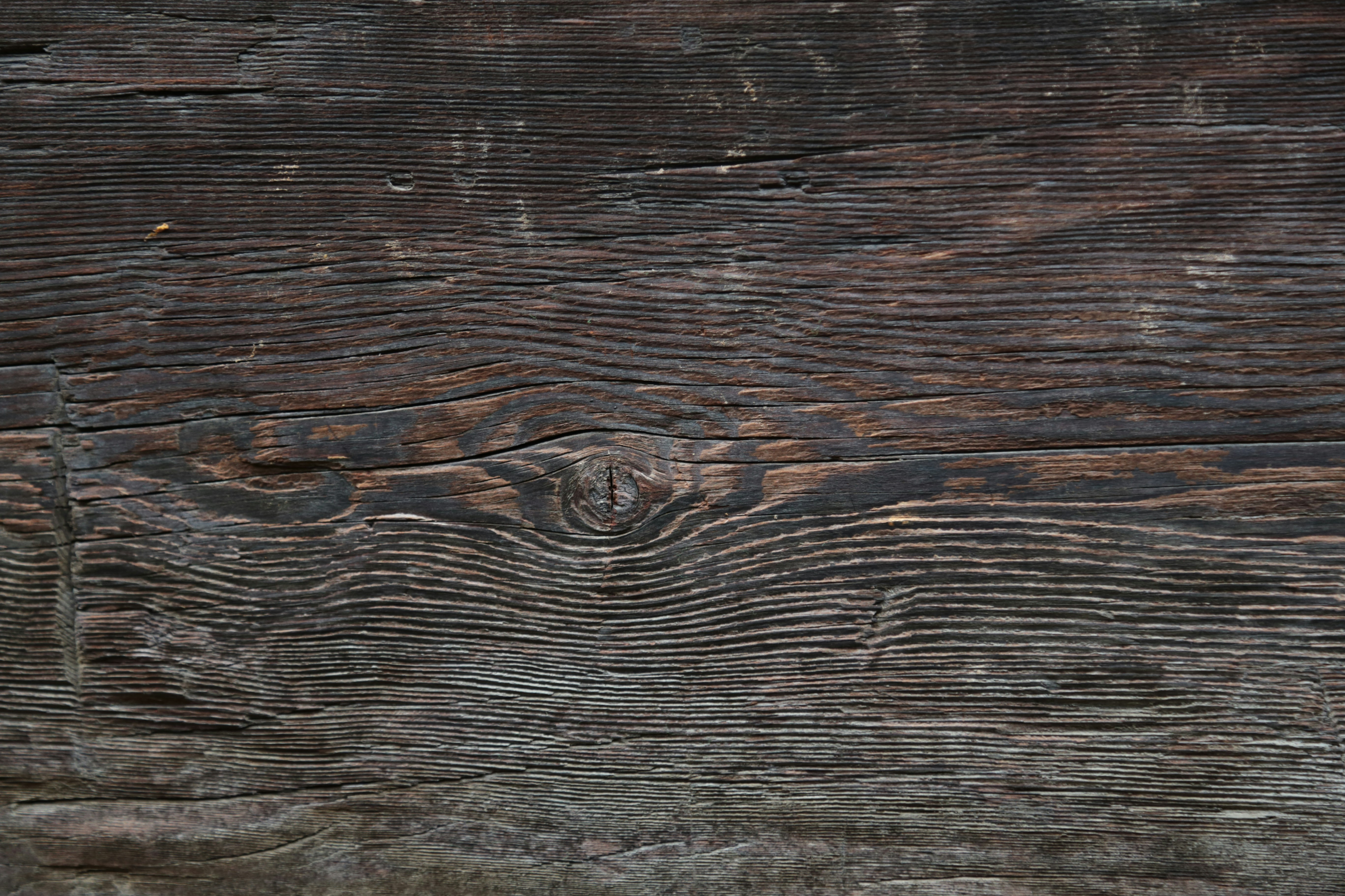 Photo by Bernd 📷 Dittrich with Canon EOS 6D