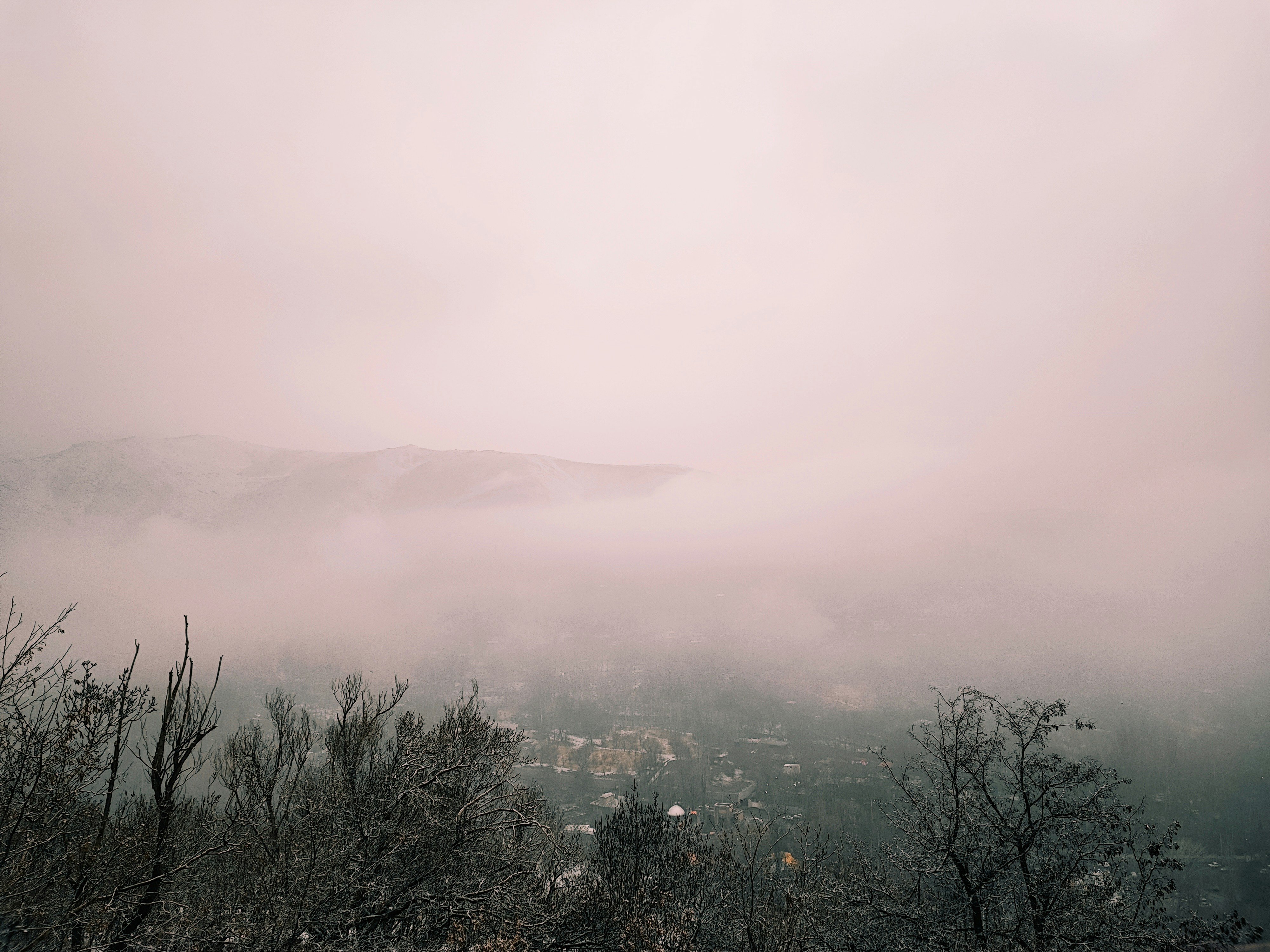 Un paysage brumeux avec des arbres au premier plan photo – Photo La ...