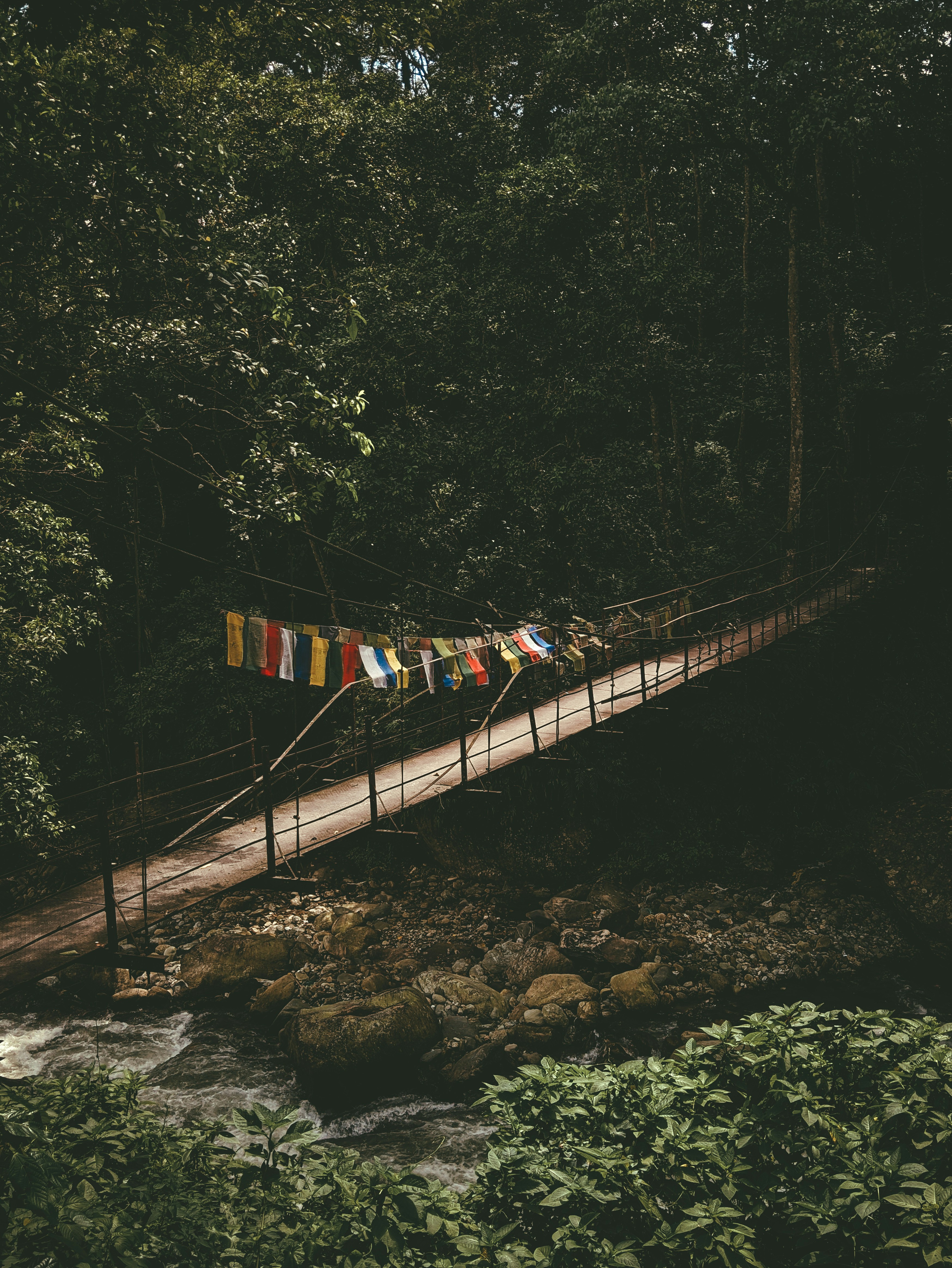 A bridge that has a bunch of flags on it photo – Free Vegetation Image ...