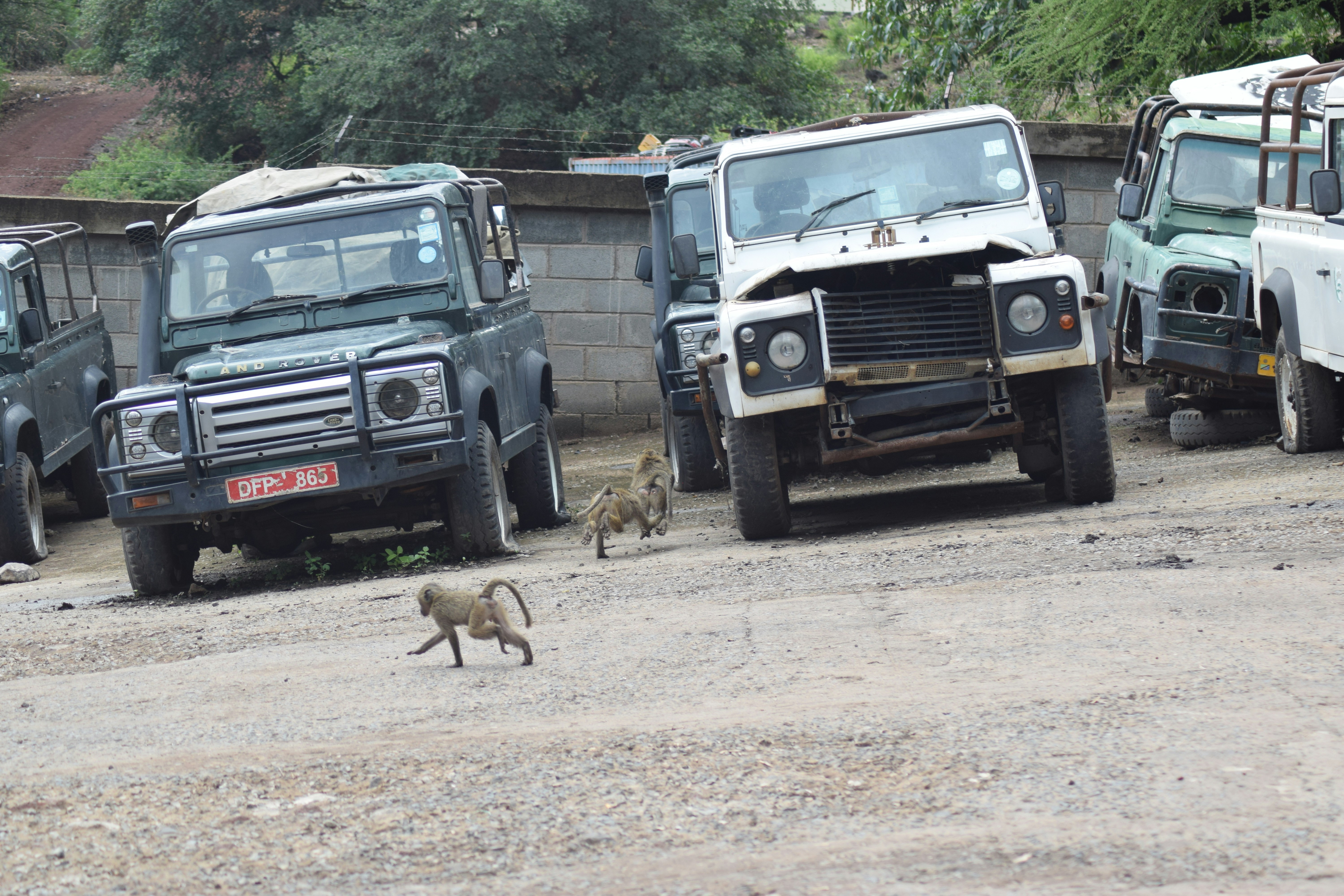 Photo by Tiffany Collard with Nikon D3300