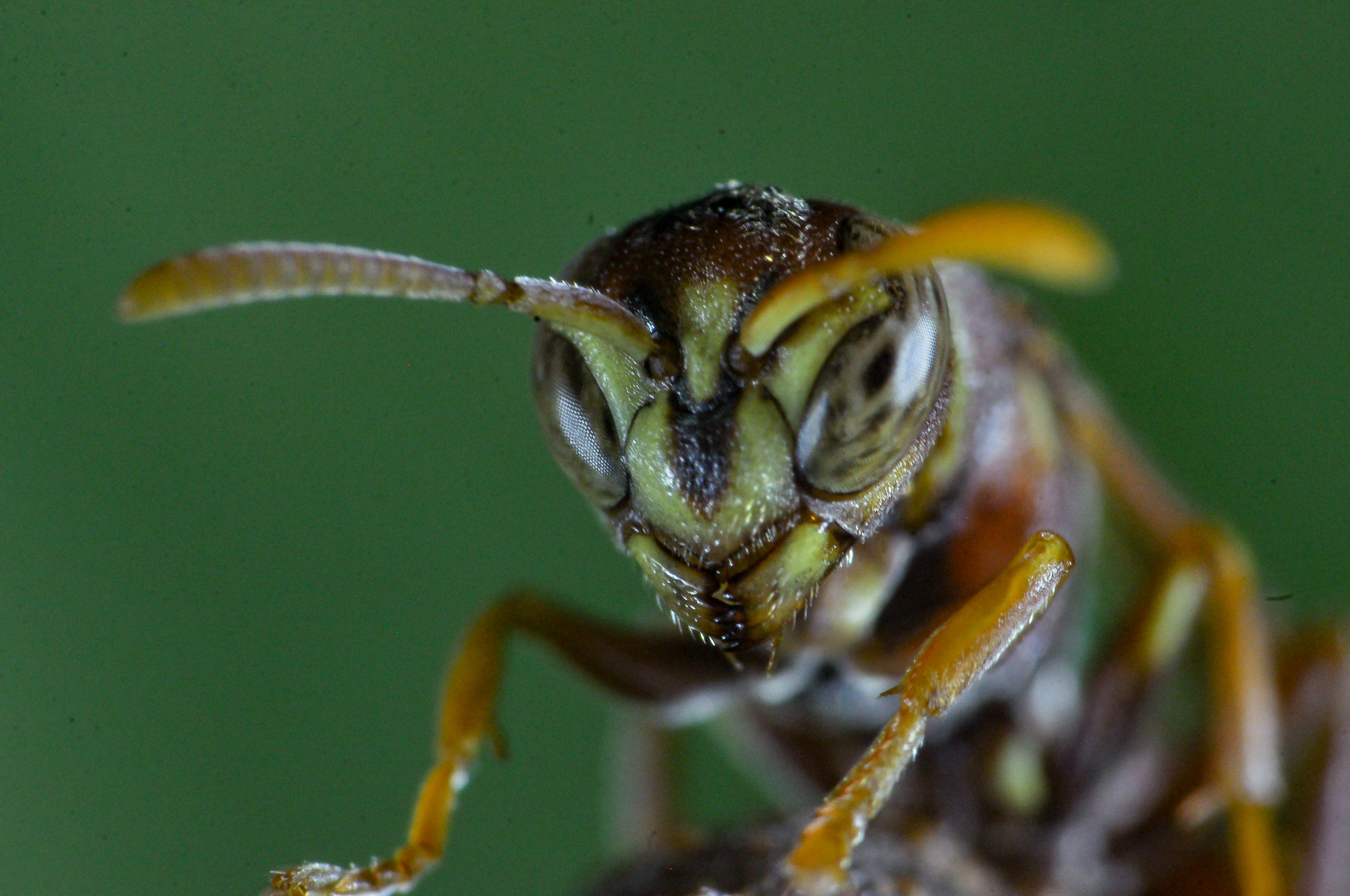 Photo by Dexter delos Santos with Nikon D90