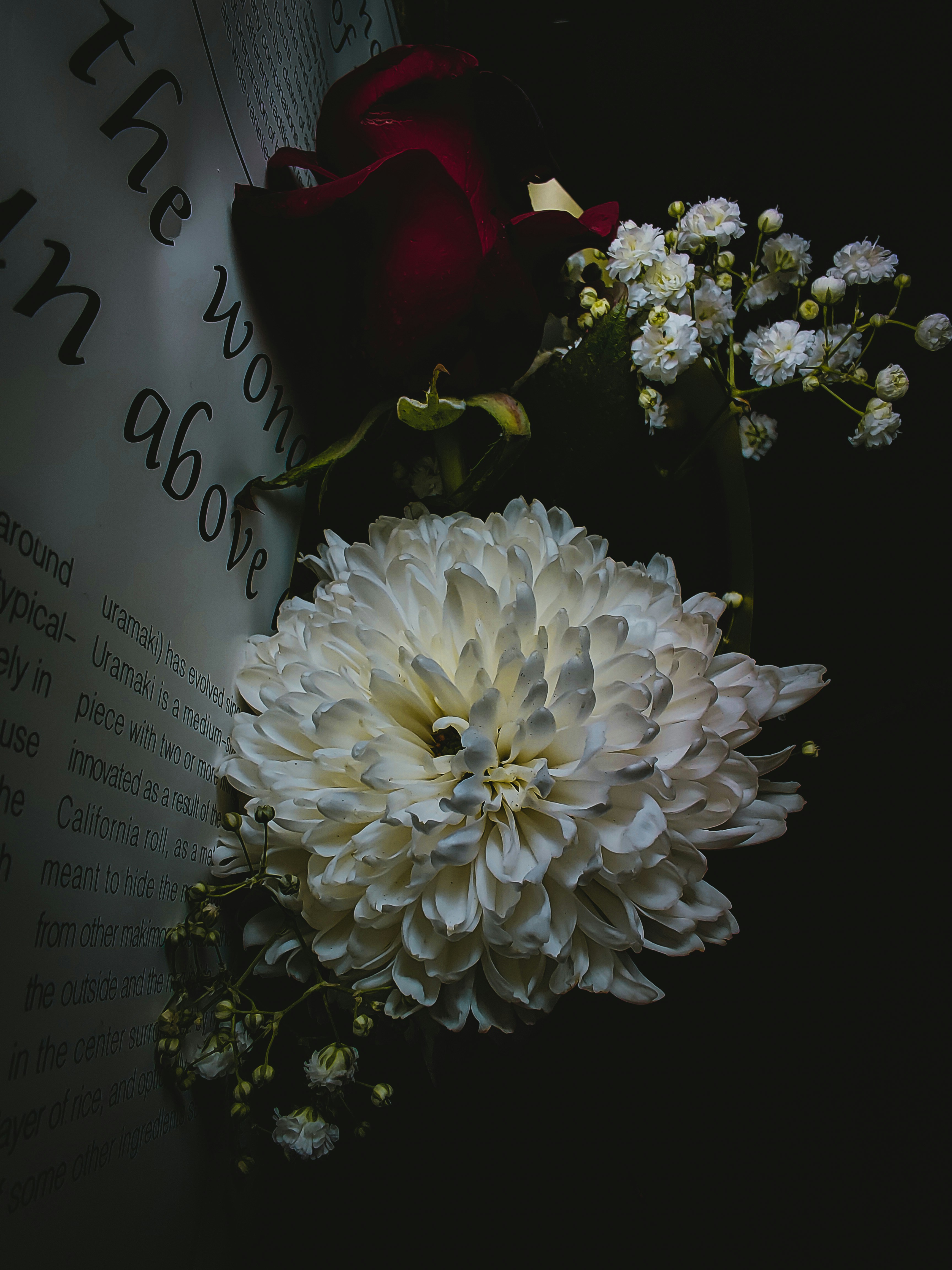 Al Khums, Libya - all you need to know