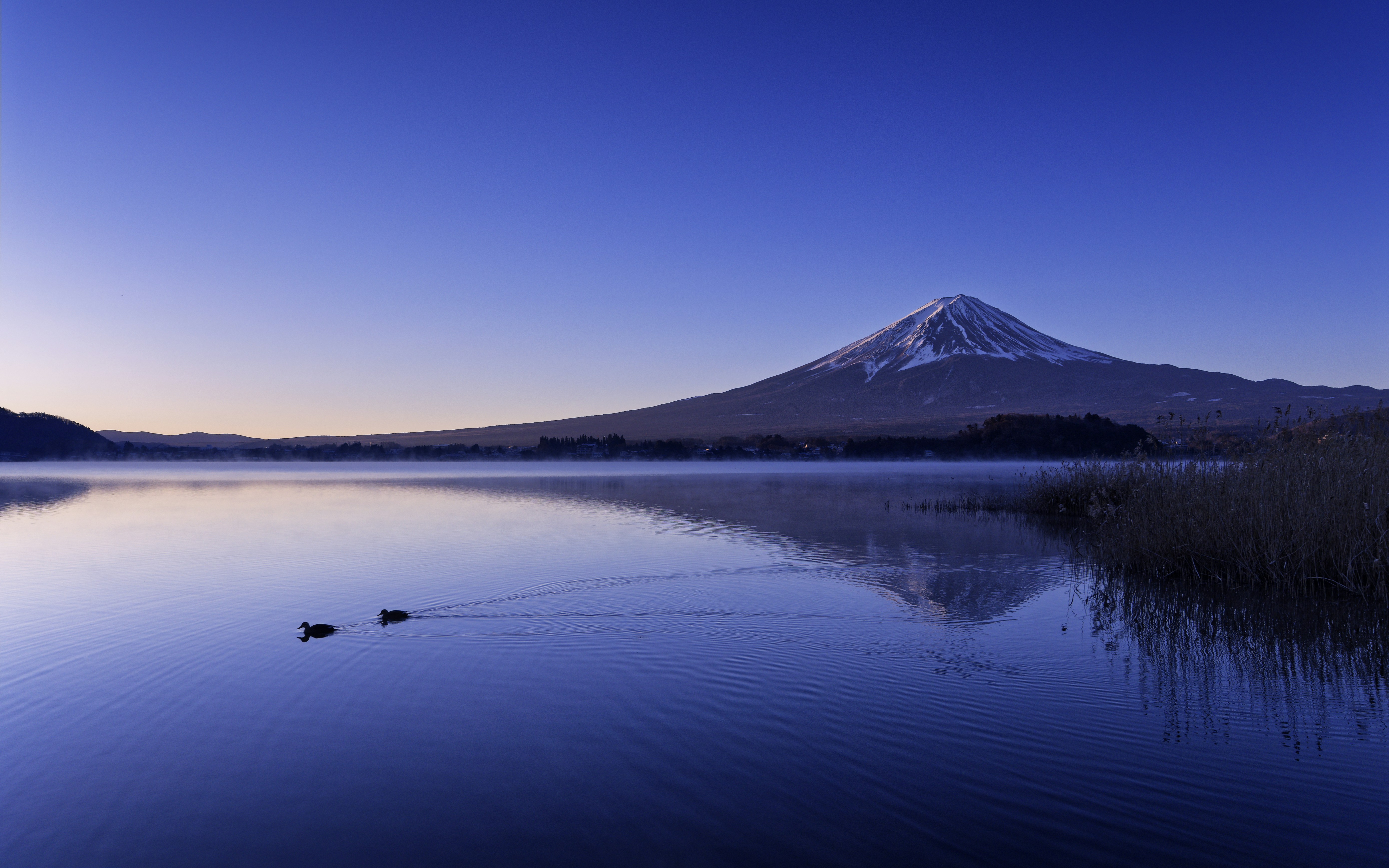 Ducks glide across a tranquil lake with a majestic snow-capped mountain in the background at sunrise.
