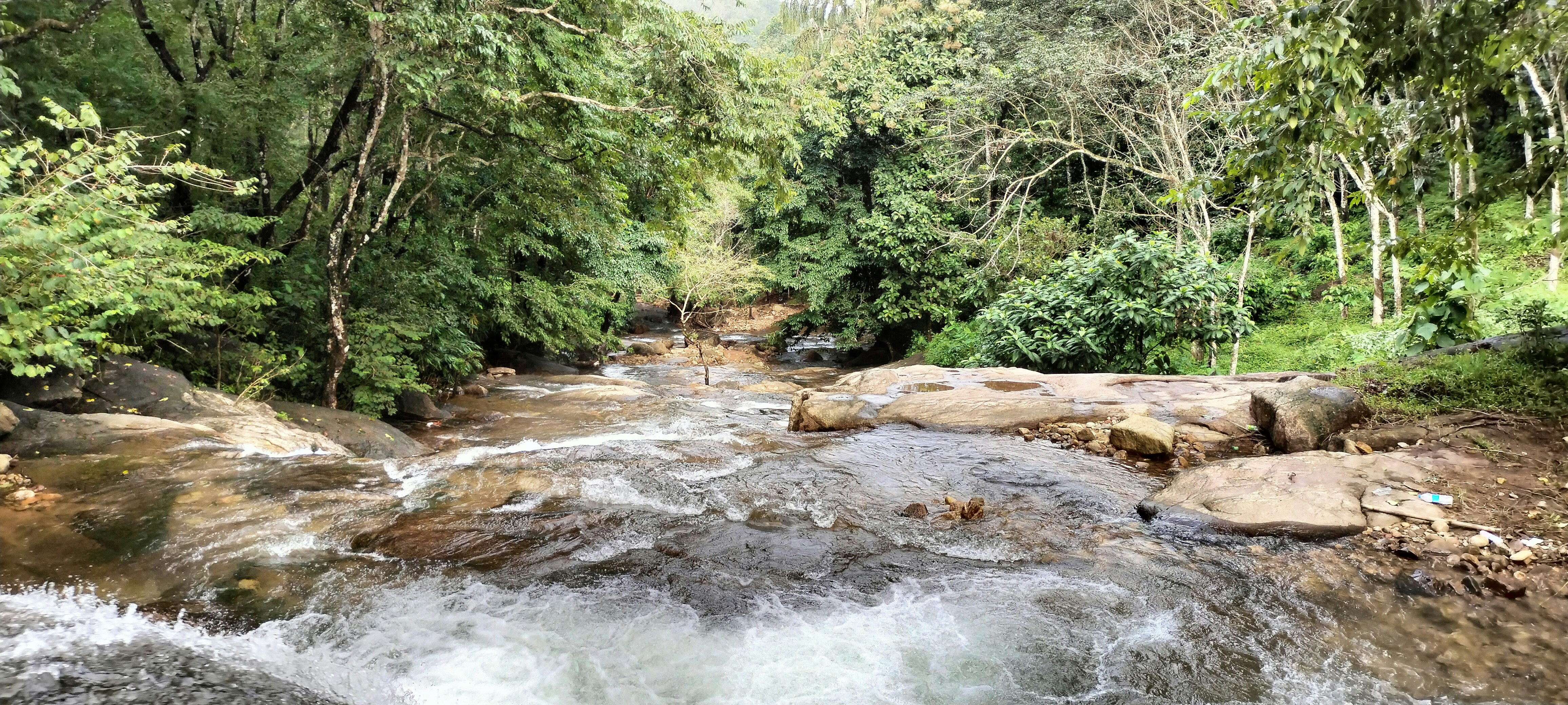 Gentle river cascading over smooth rocks surrounded by lush green forest.