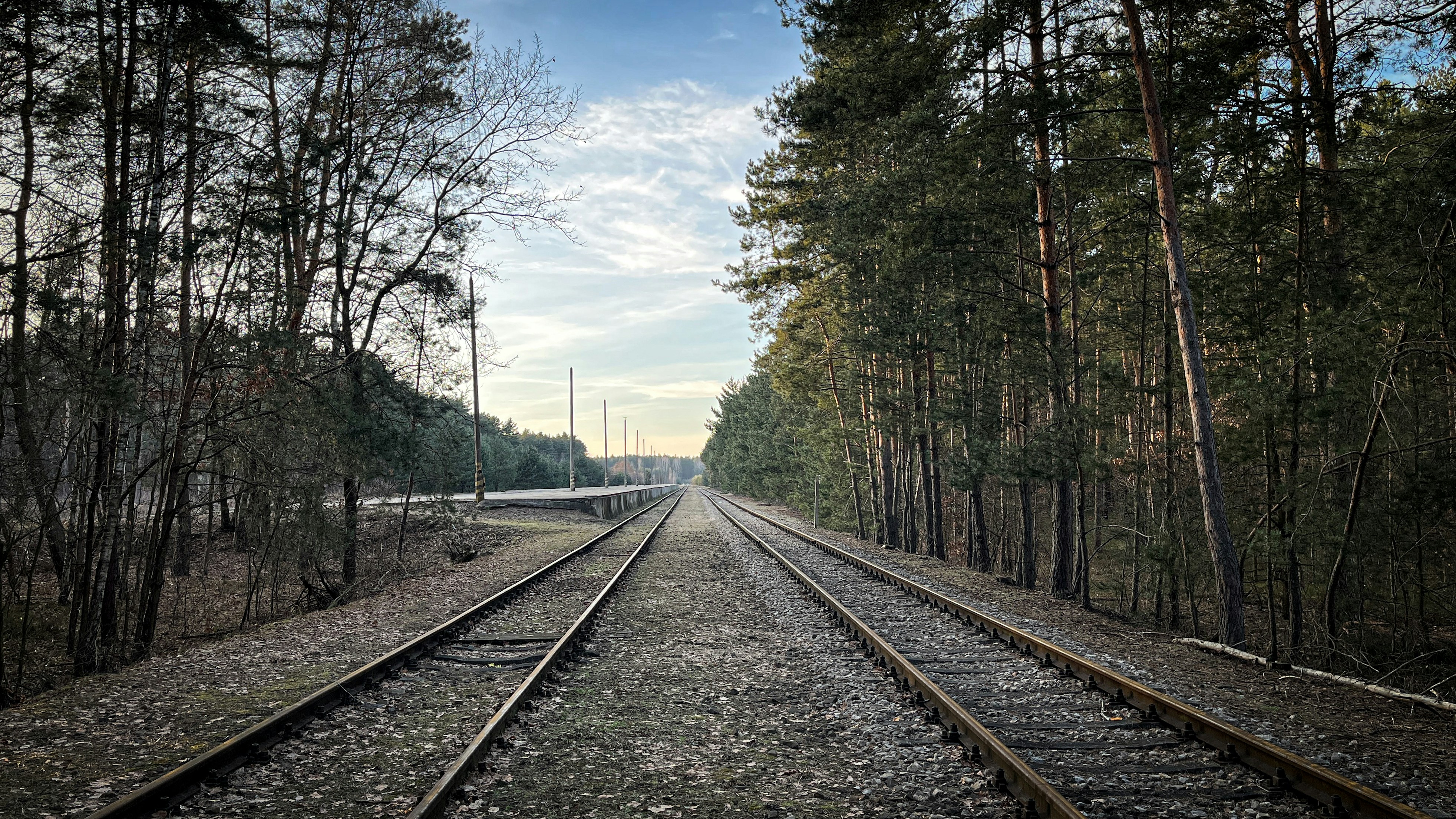 Shot on iPhone 13. Follow me on Instagram: @darktez | a train track in the middle of a wooded area
