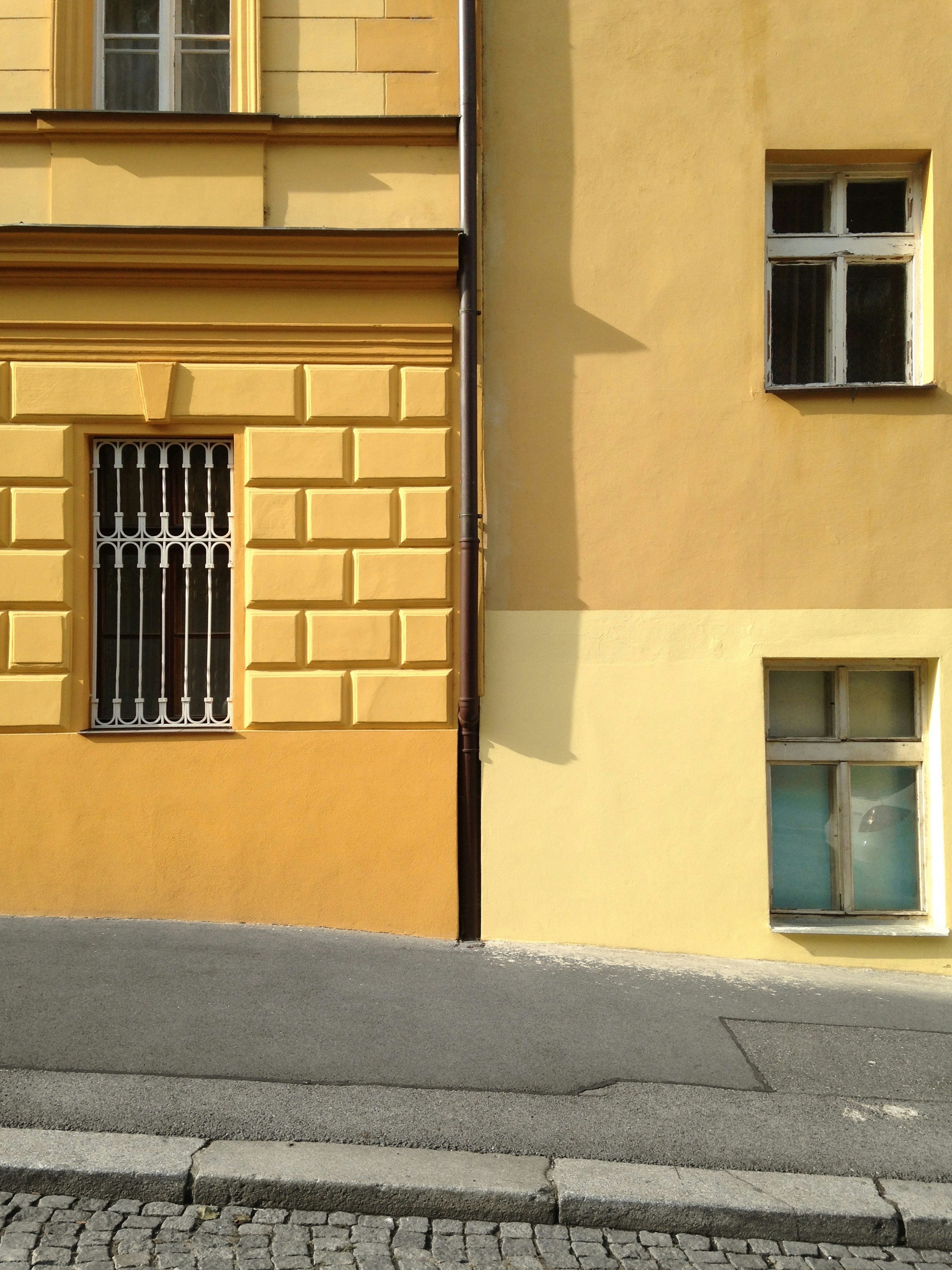 Photo by David Pisnoy with Apple iPhone 5c