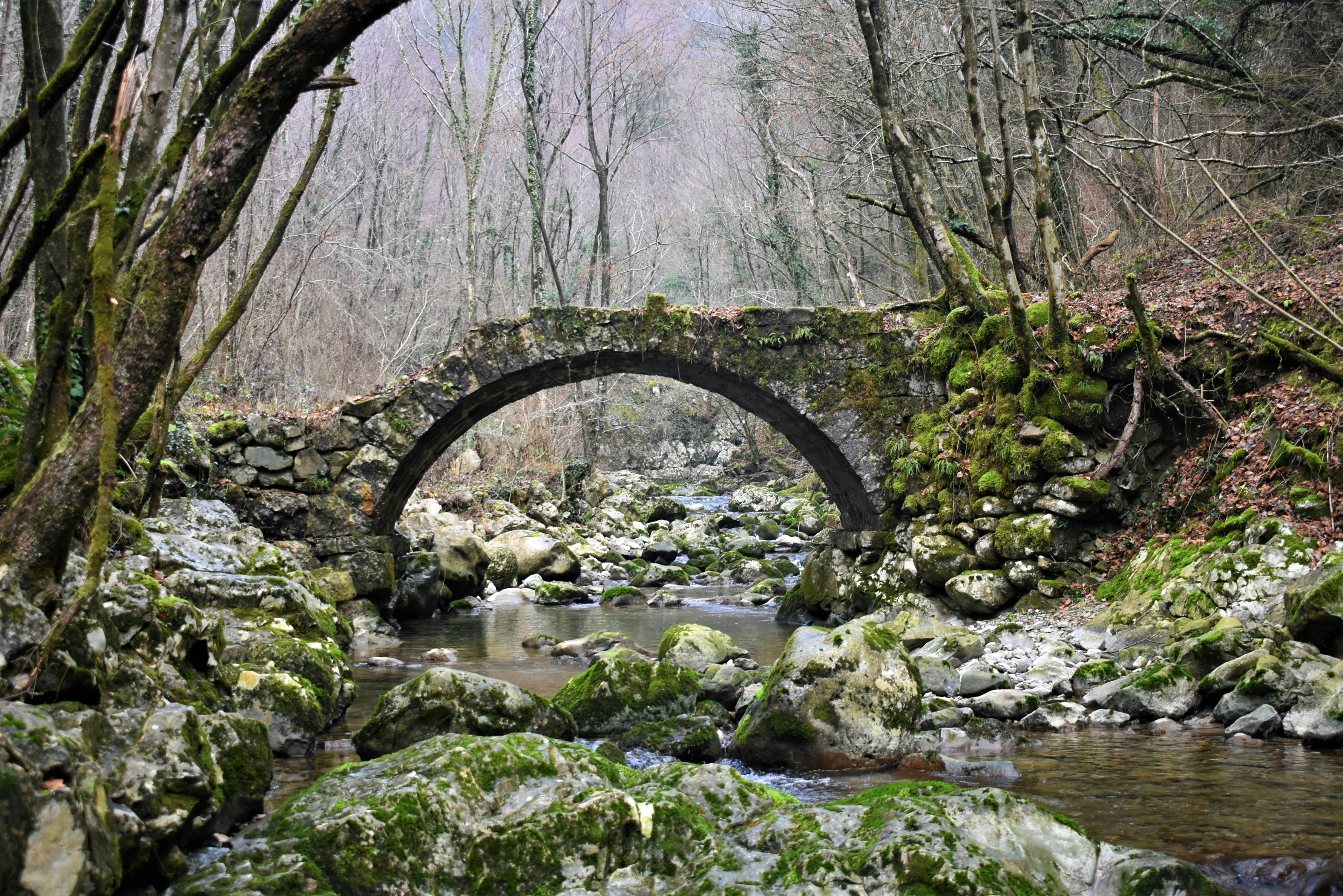 Stonebridge In Forest