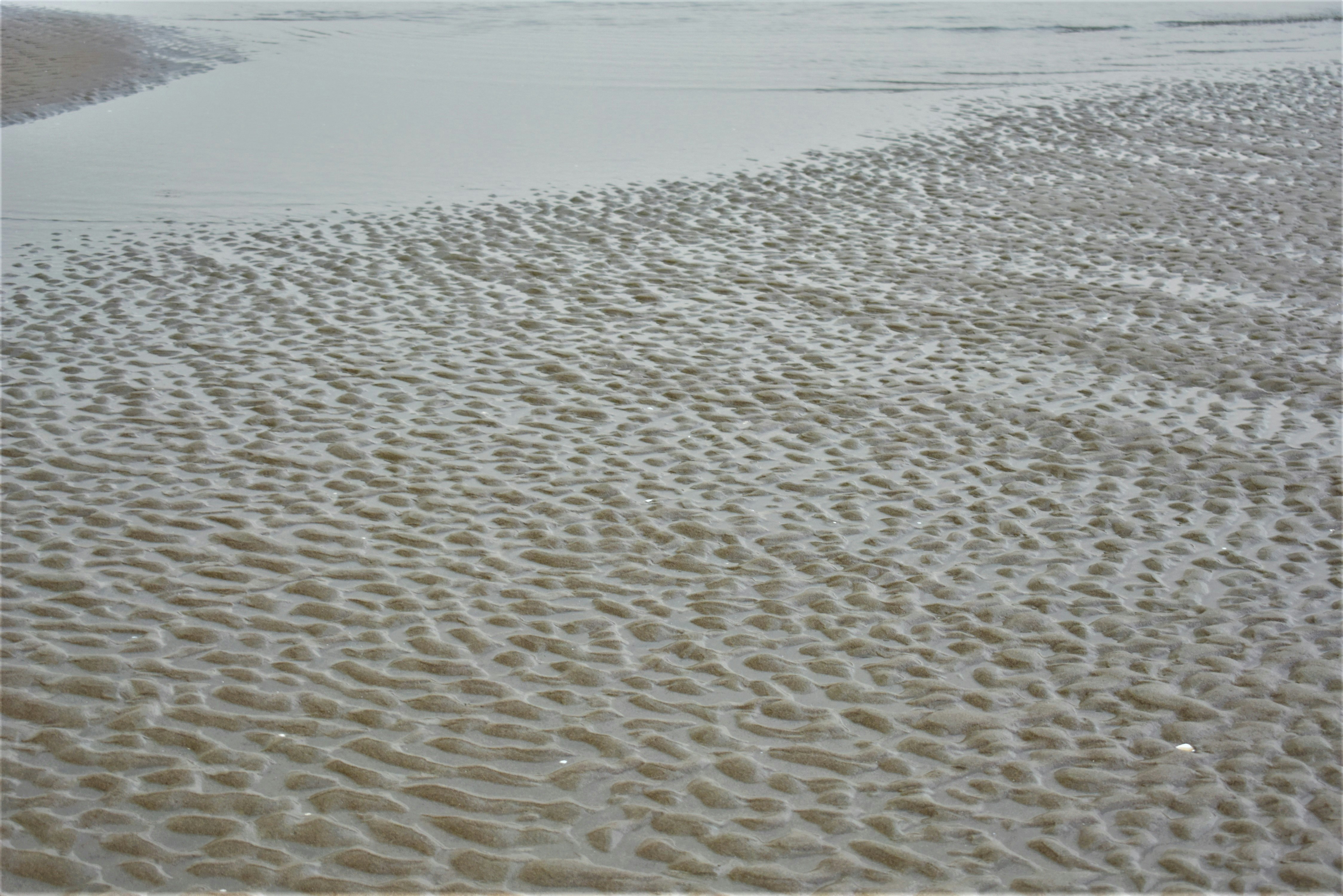 Tide Pool Pictures | Download Free Images on Unsplash