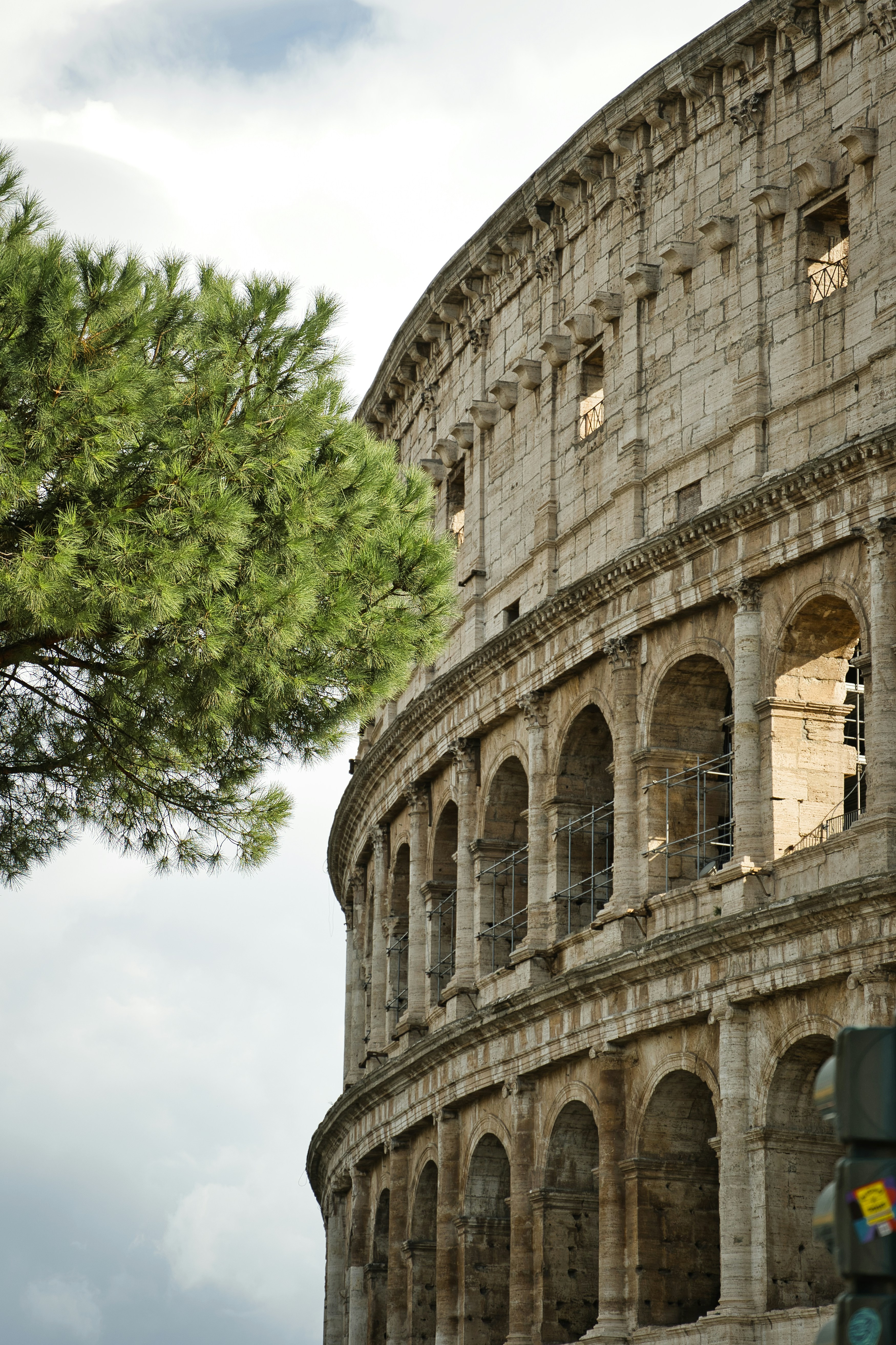 Ancient amphitheater silhouette framed by pine and sky