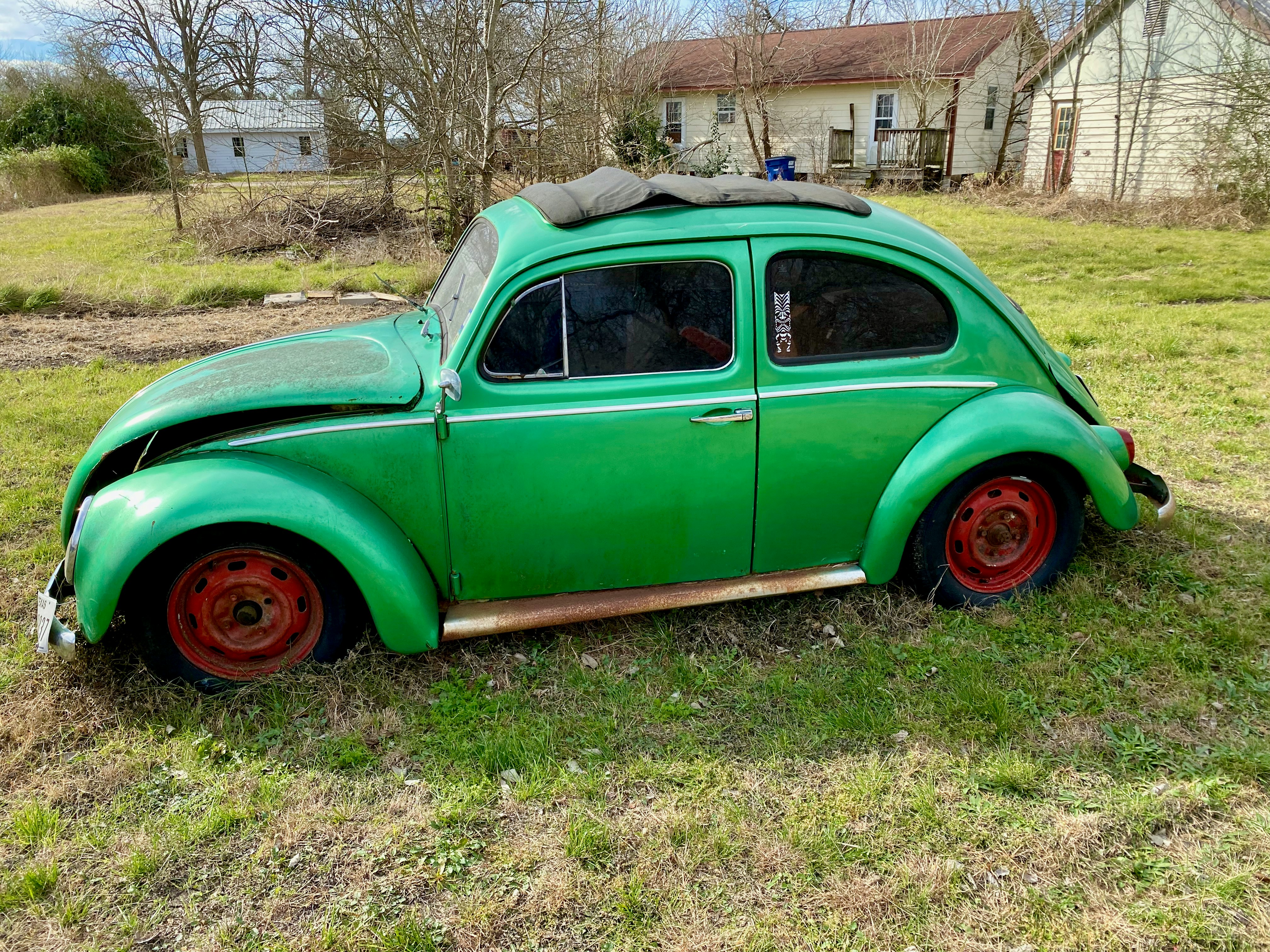 Verdant Beetle in a Quiet Pasture: a relic awaiting revival