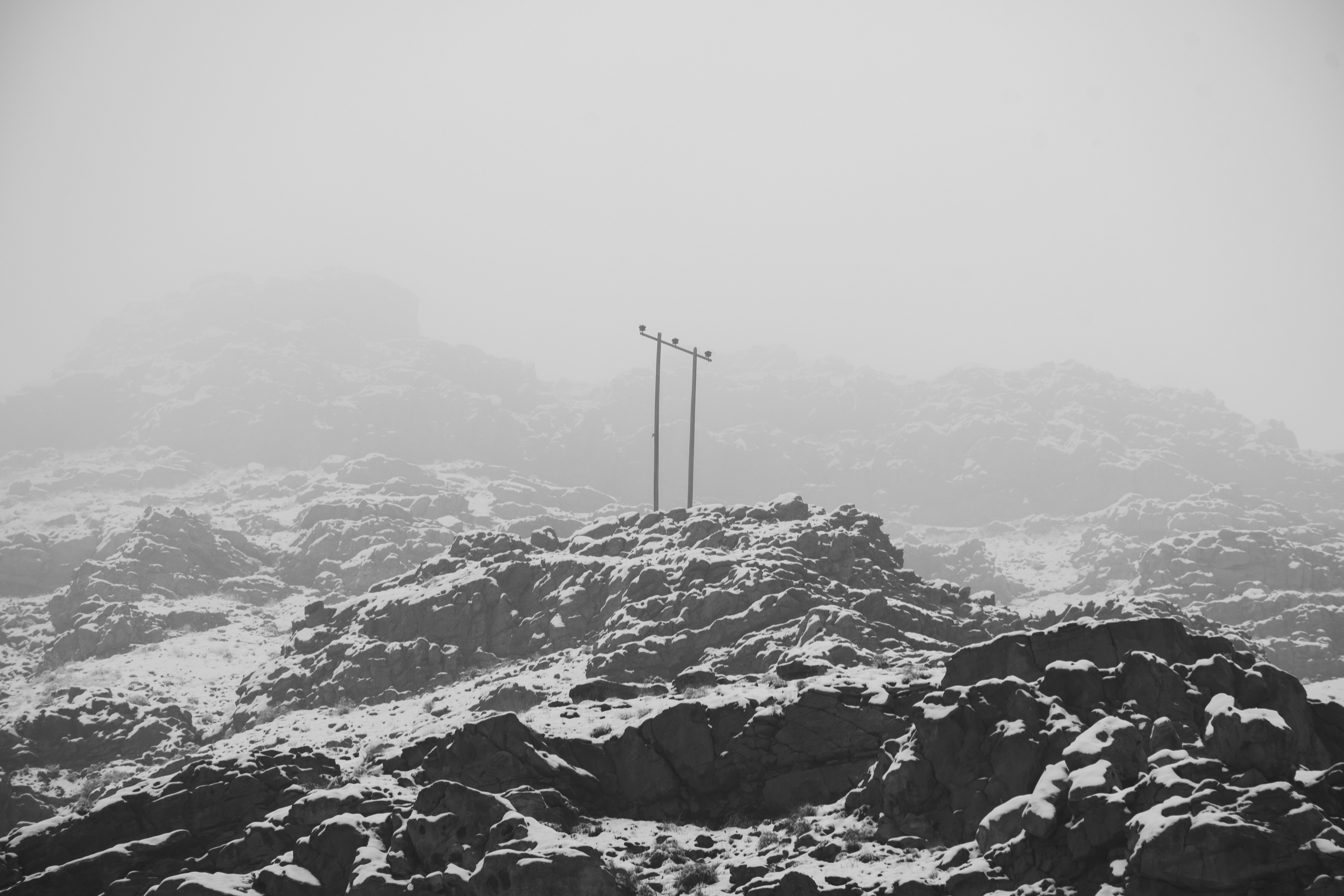 Twin Poles on a Snow-Dusted Ridge in Quiet Mist