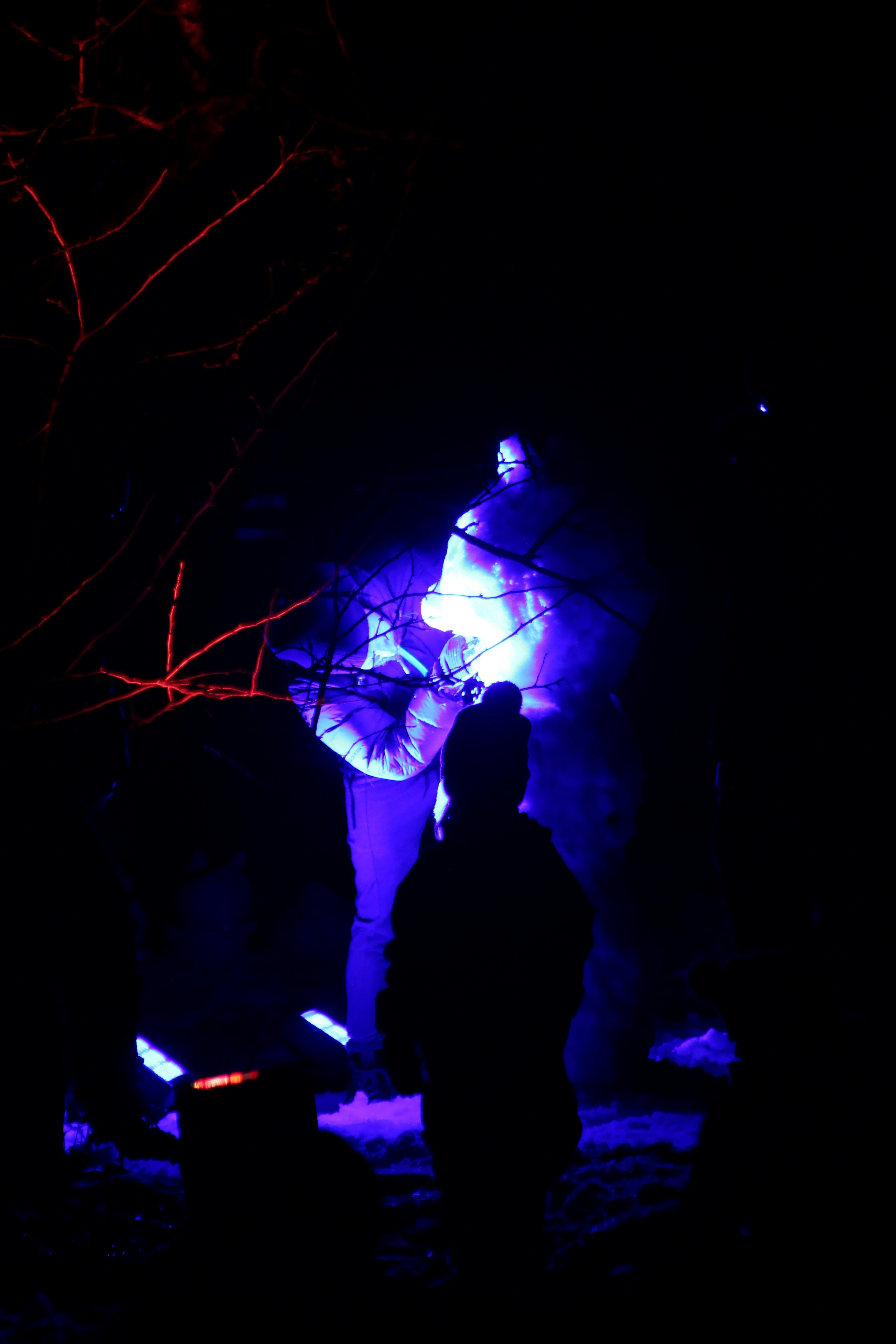 Anne Nygård (@polarmermaid) | Unsplash Photo Community