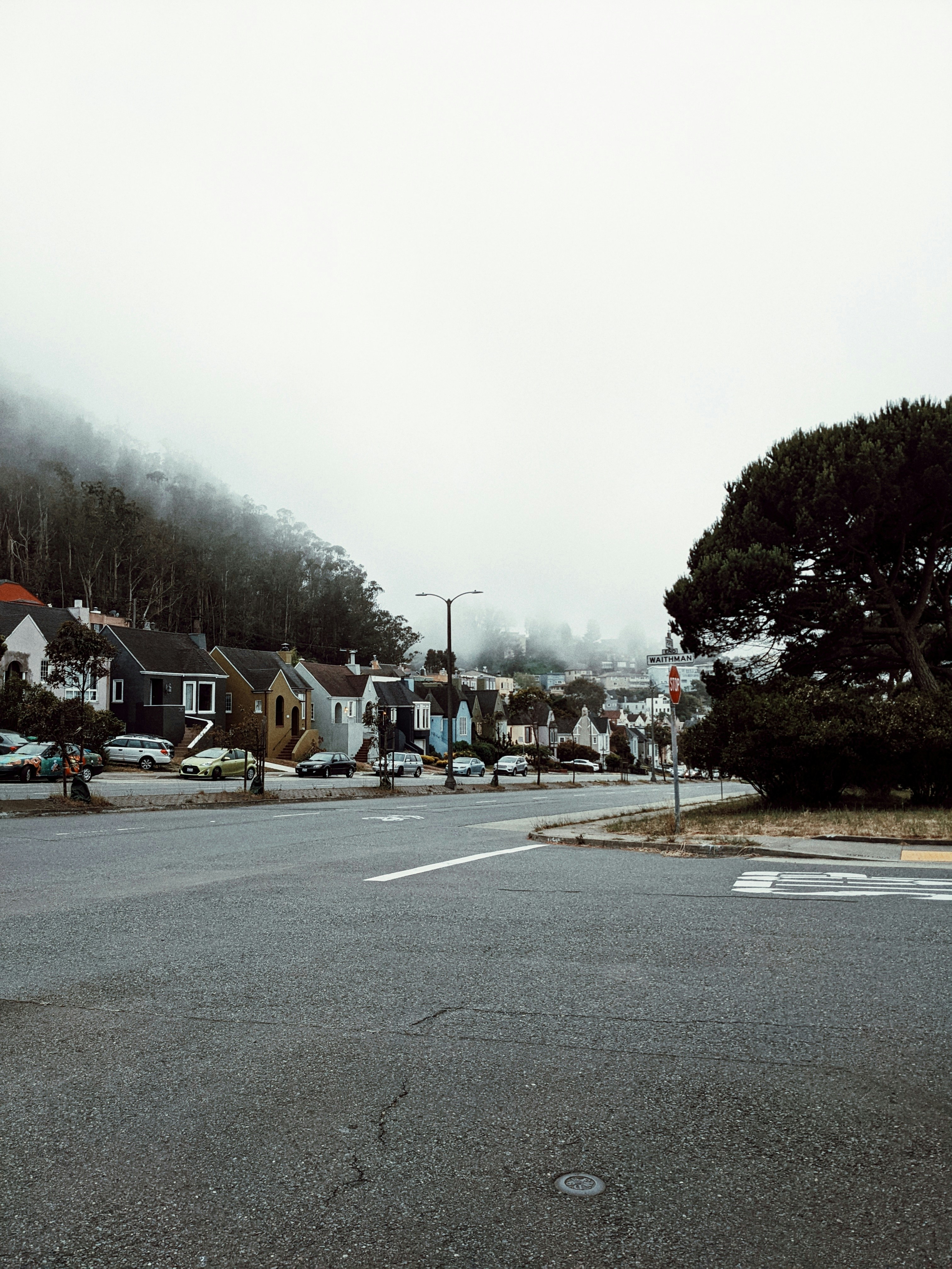 Foggy Suburban Dawn Along a Quiet Street