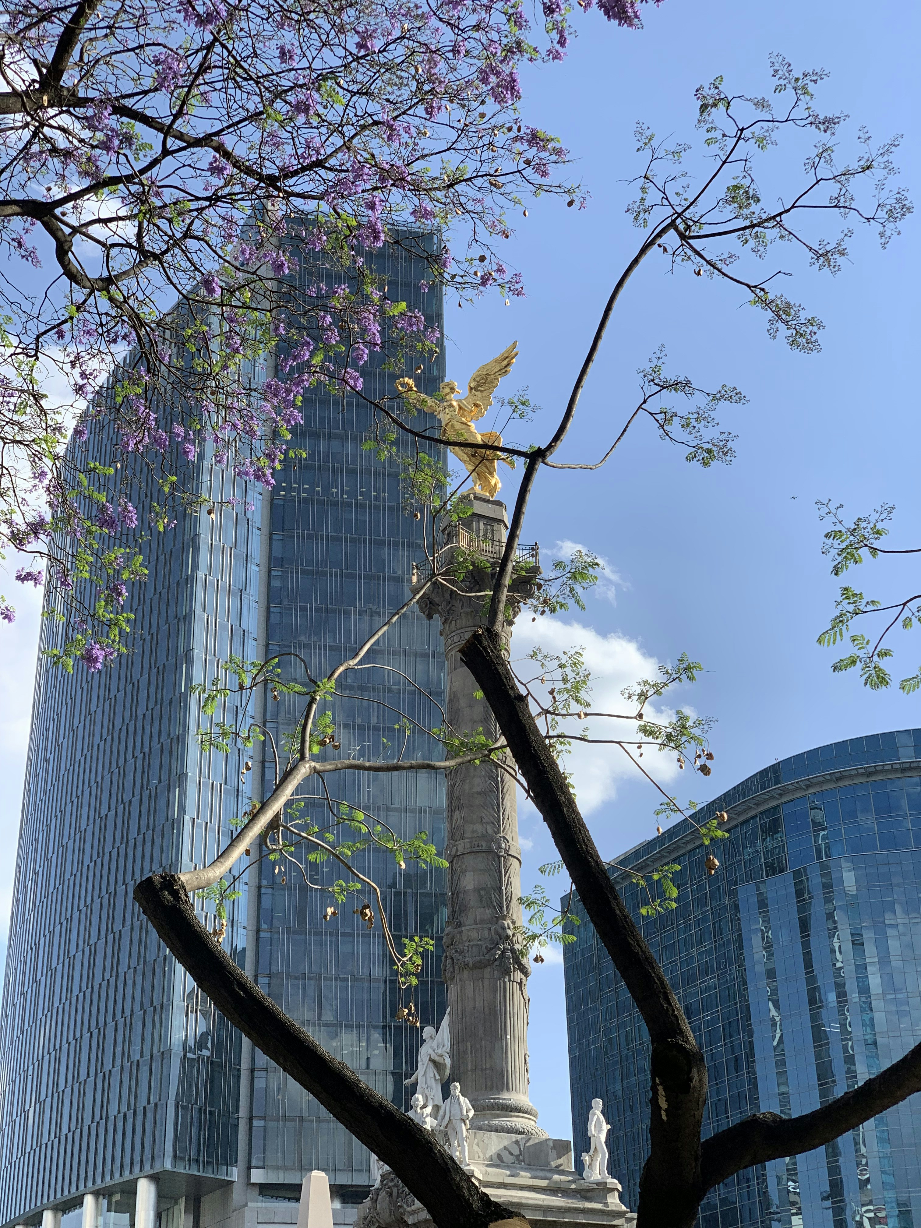 Golden Eagle Over Modern Glass and Blooming Branches