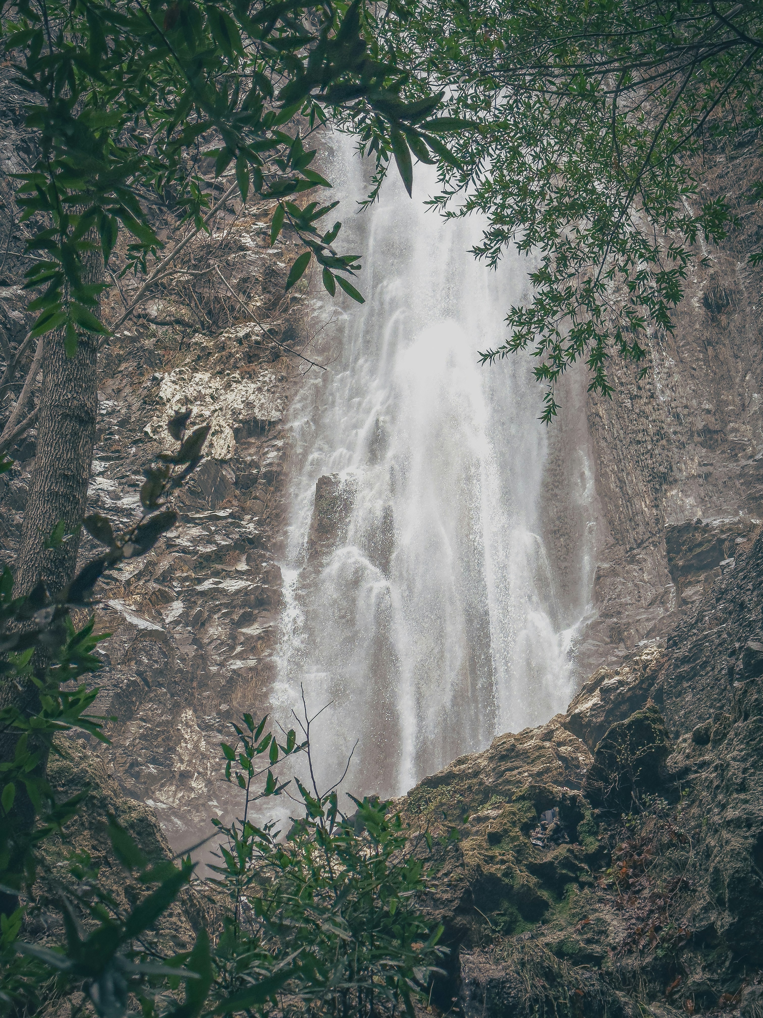 A large waterfall is seen through the trees photo – Free United states ...