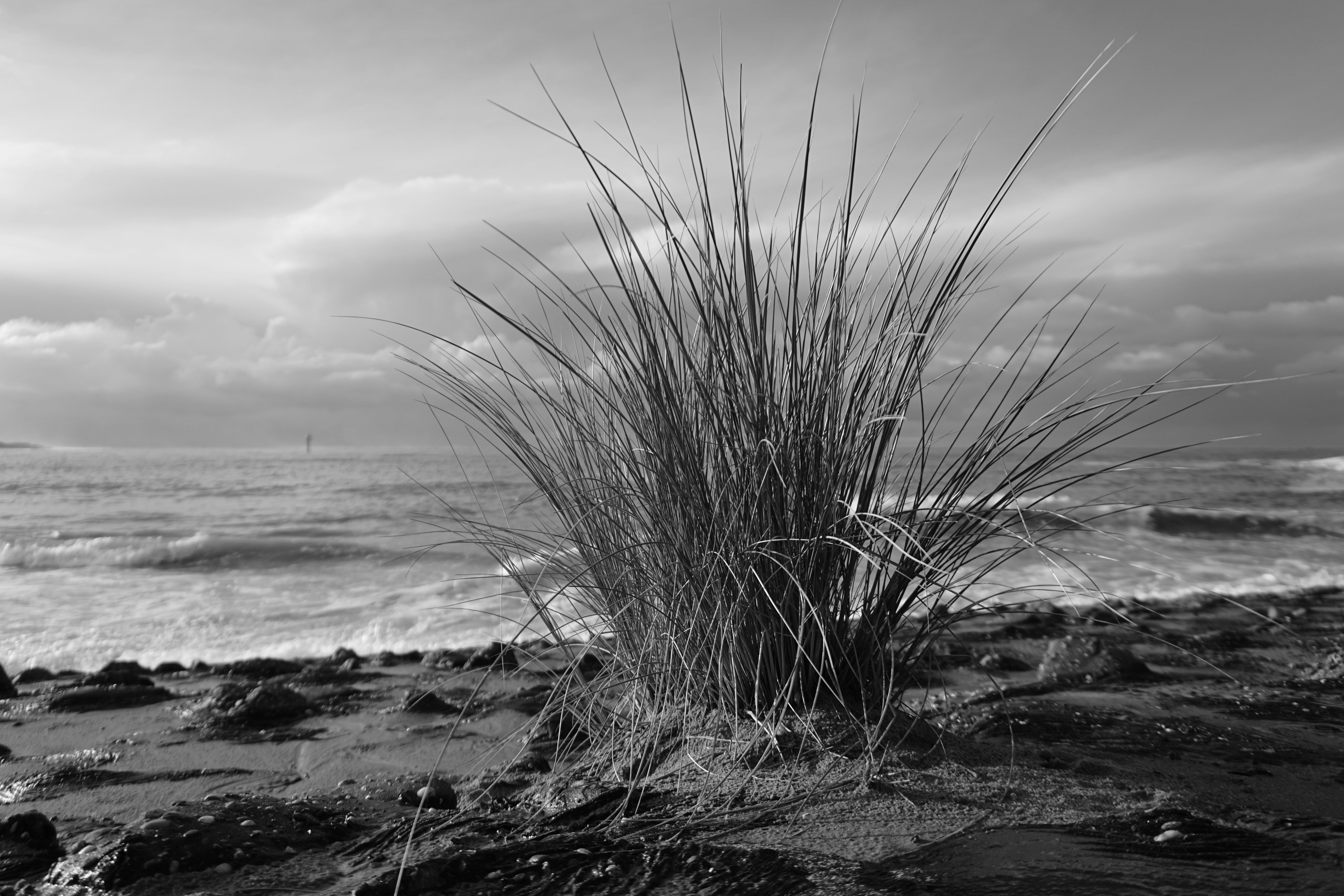 Photo by Christian Quadt with Sony Alpha 6000