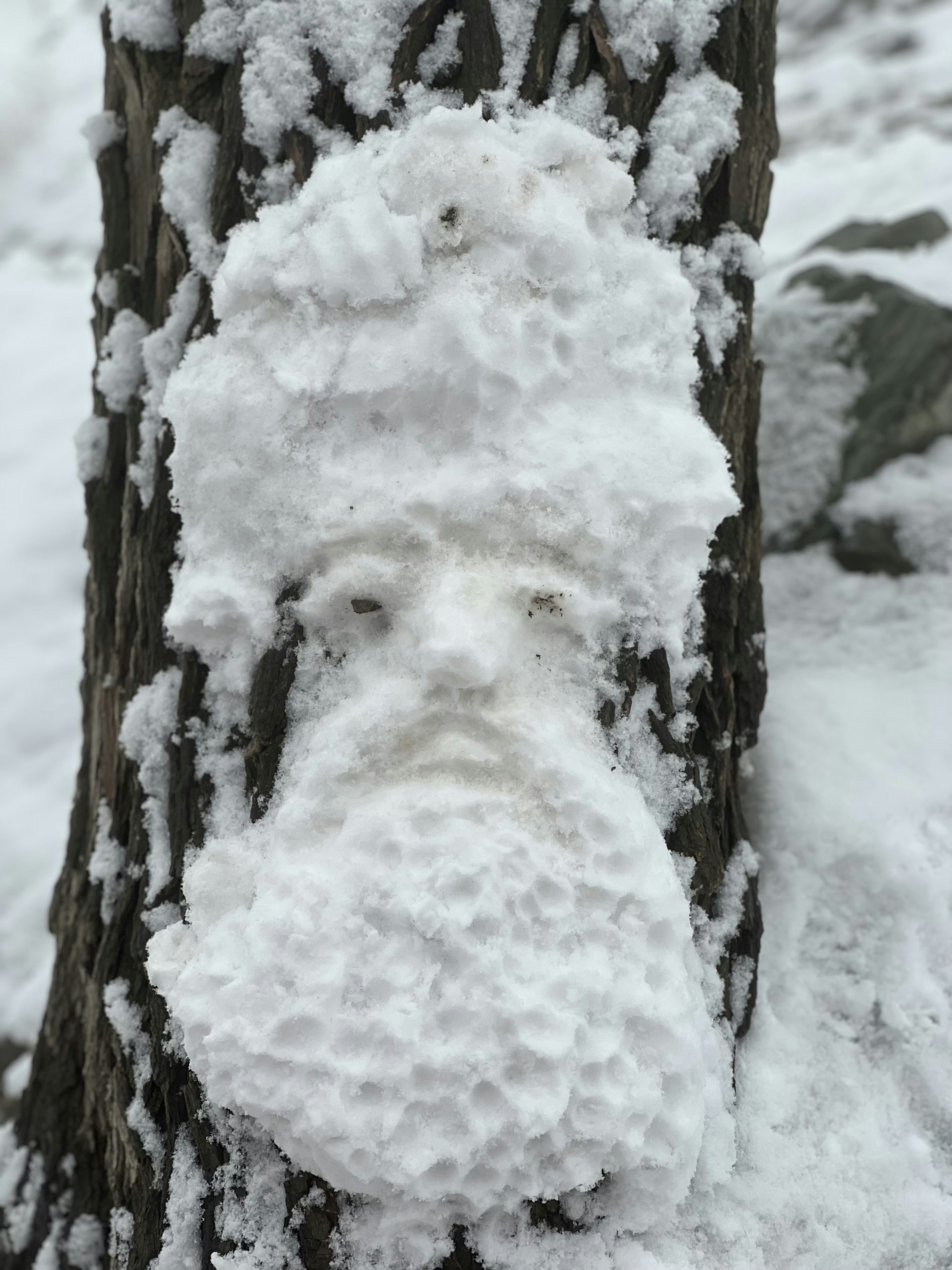 a face carved into a tree in the snow