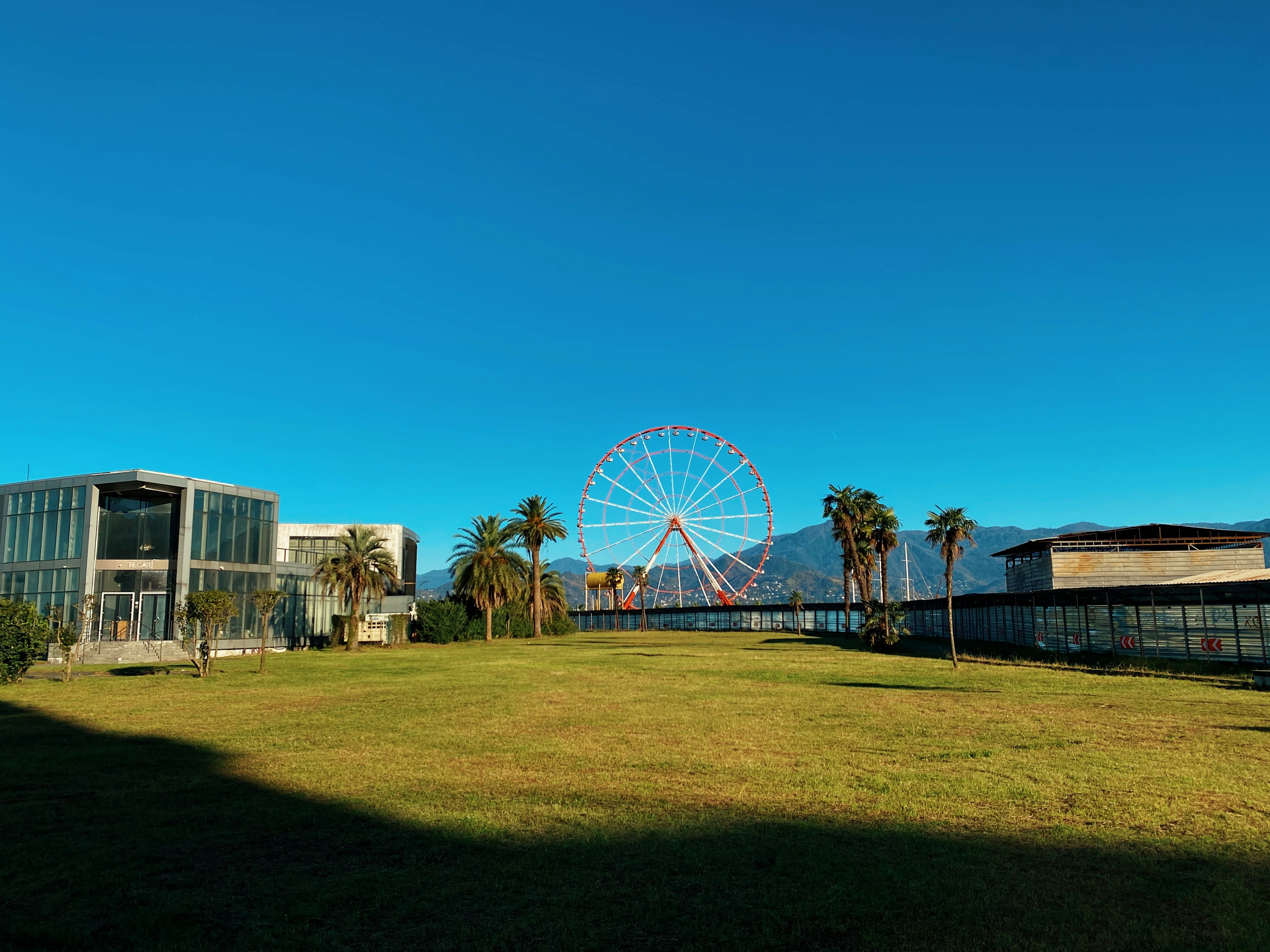 Ferris Wheel on a Sunlit Promenade: Palm Trees, Glass Building, and Coastal Sky