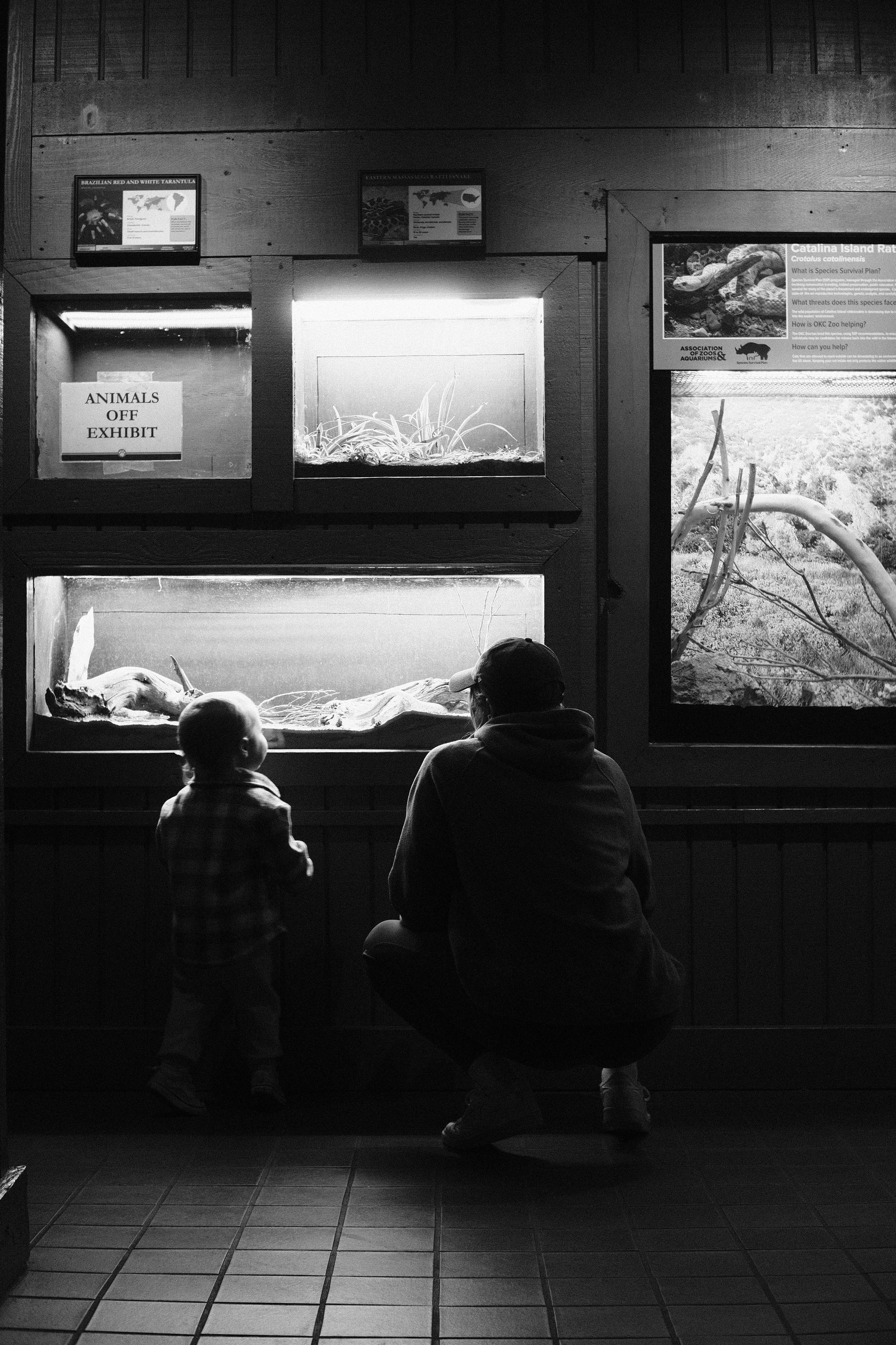Monochrome Quiet: Father and Child Observe an Illuminated Exhibit Window