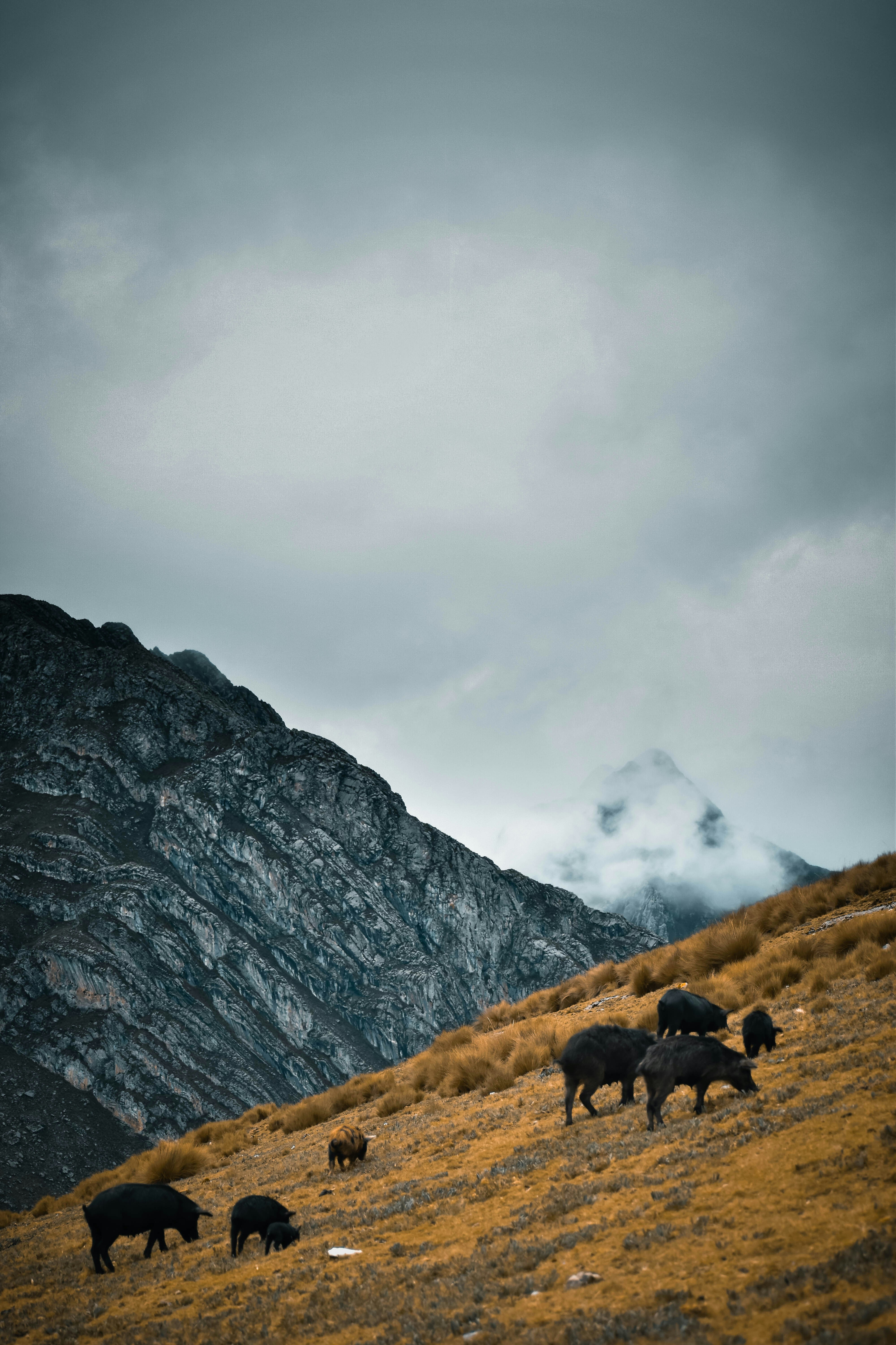 Photo by Ángel Pardo with Nikon D5600