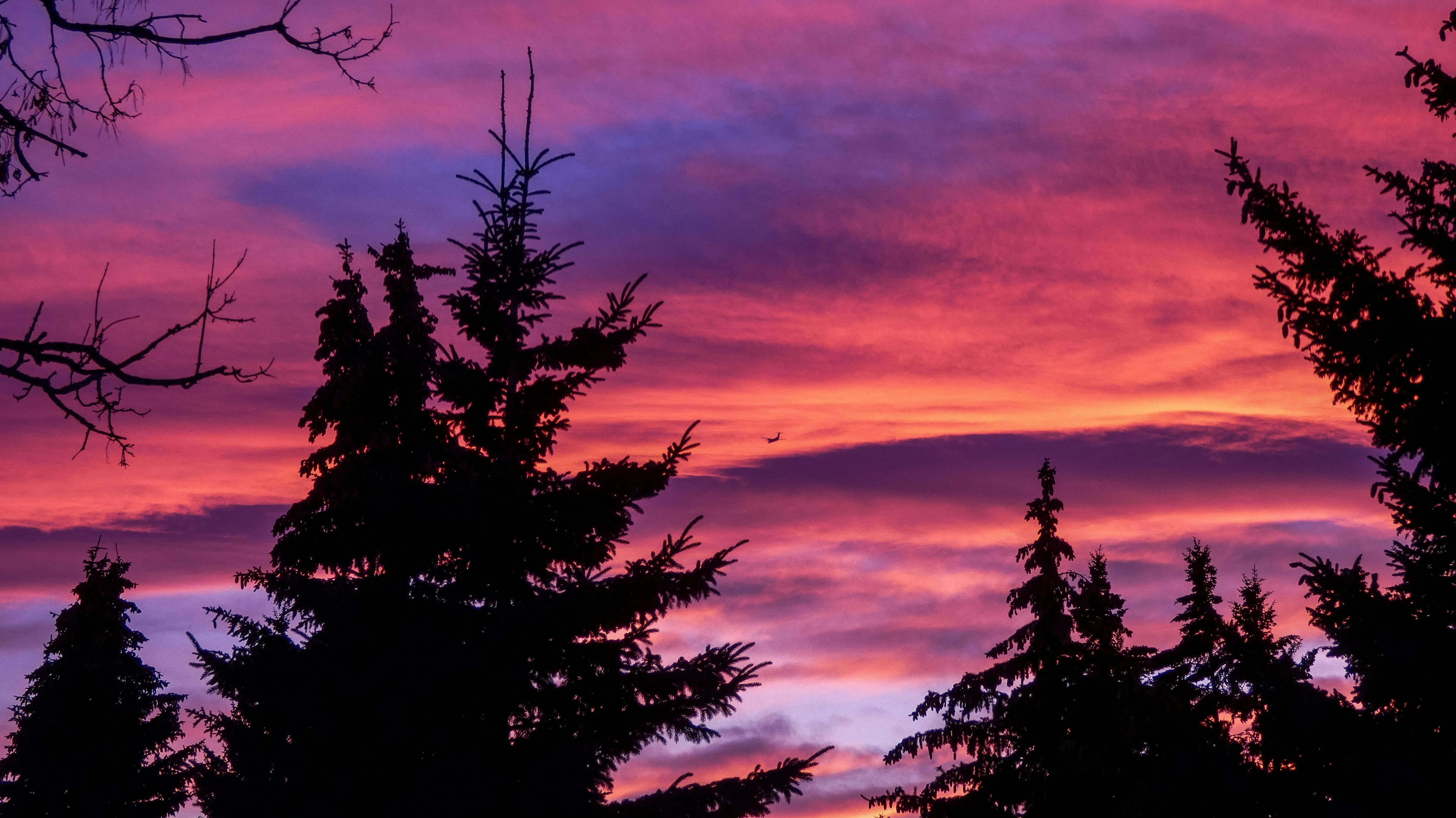 Silhouette of trees framing a small airplane against a vibrant sunset with pink and orange hues.