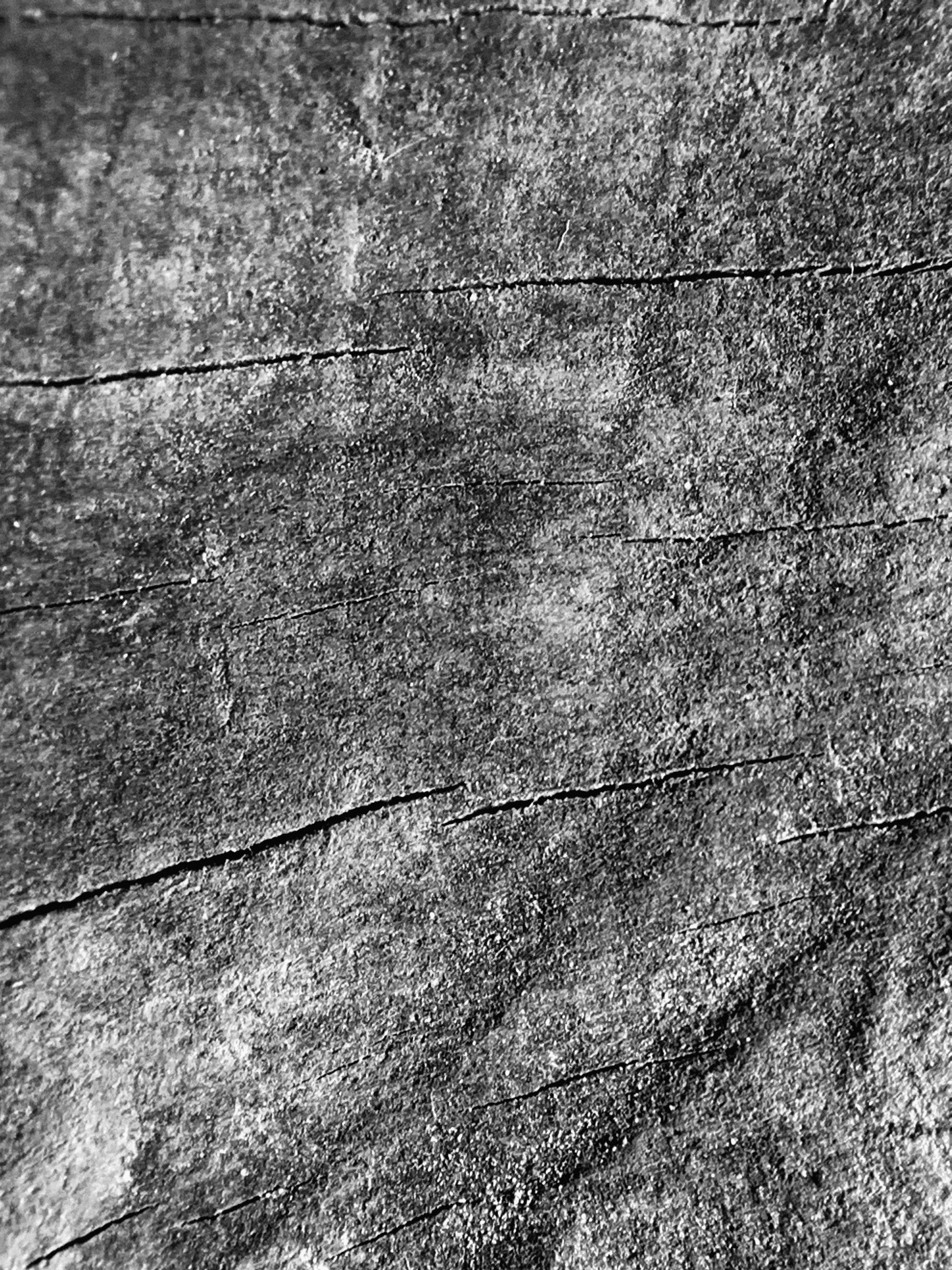 Une photo en noir et blanc d’un rocher photo – Photo Bois Gratuite sur ...