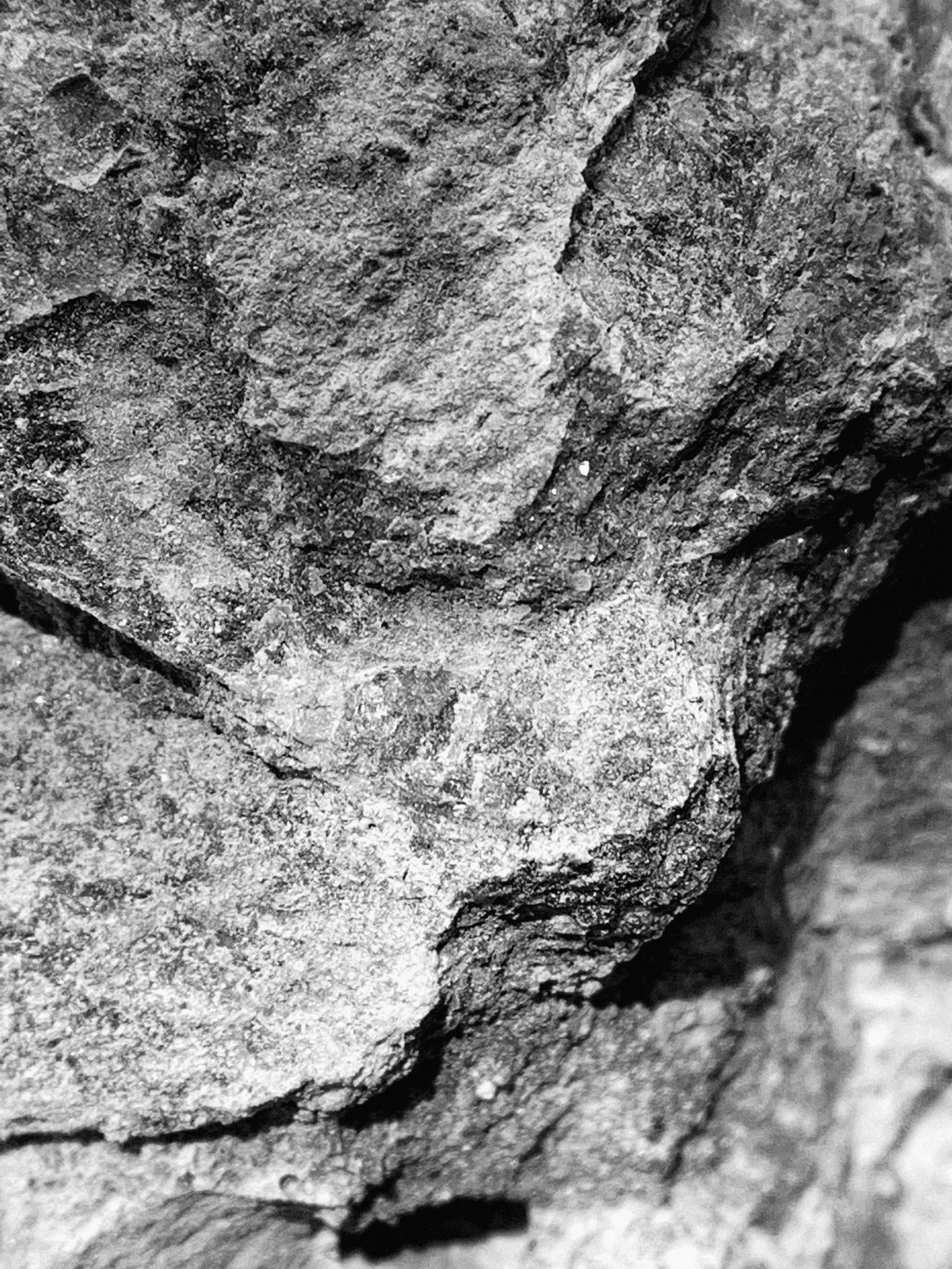A black and white photo of a rock face photo – Free Face Image on Unsplash