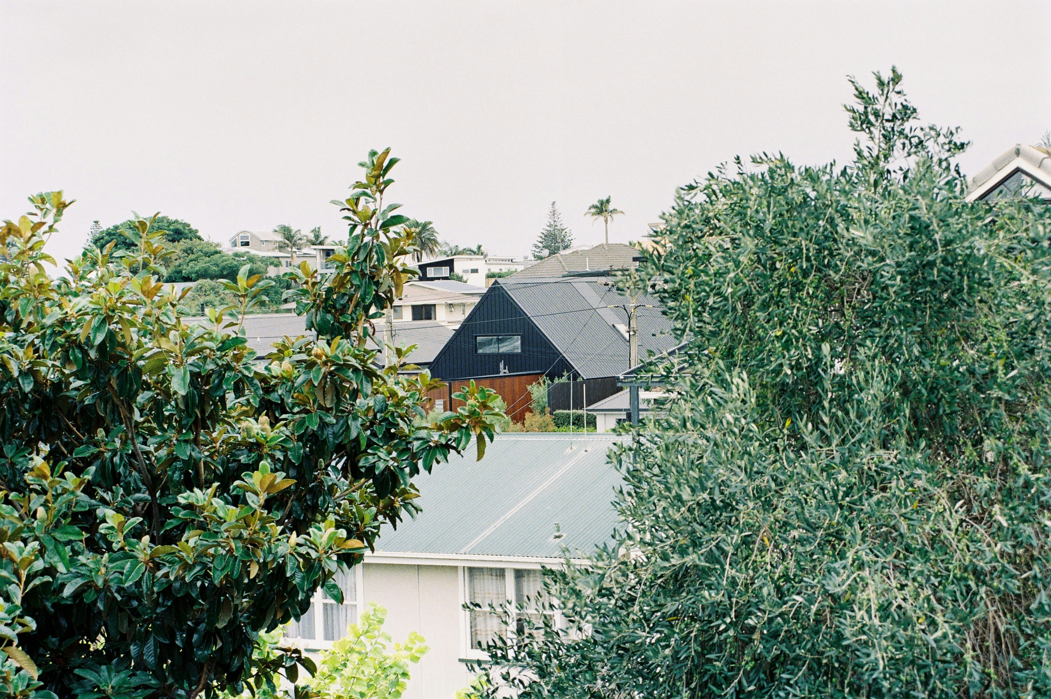 Suburban rooftops peeking through dense tree foliage under a cloudy sky.