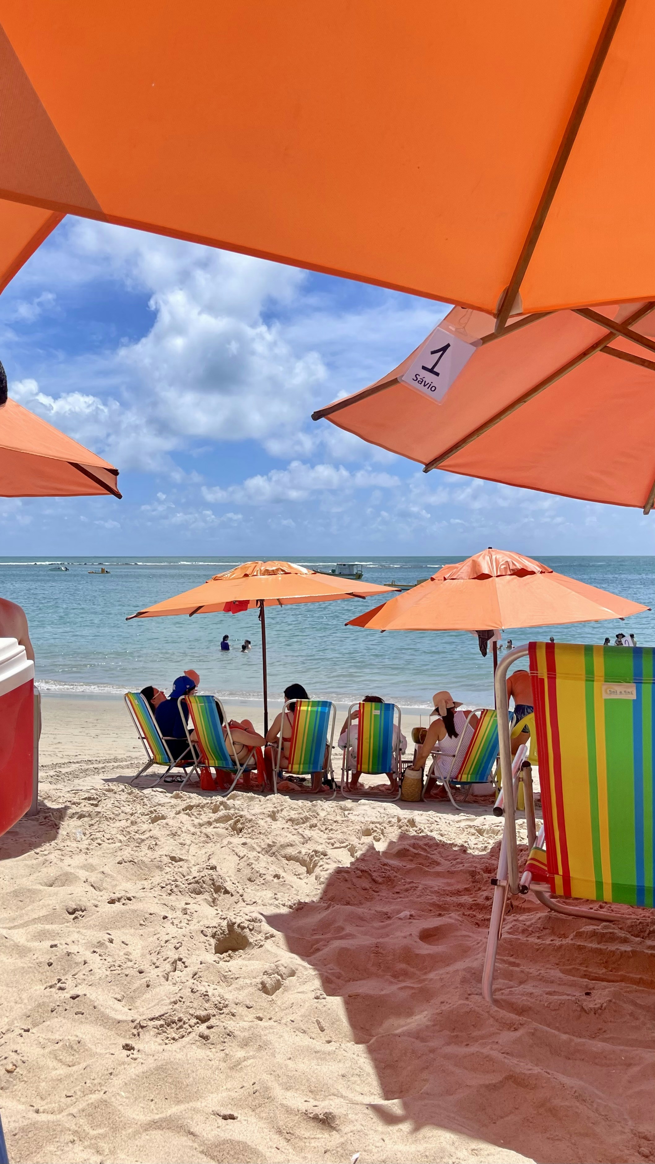 a group of people sitting under umbrellas on a beach