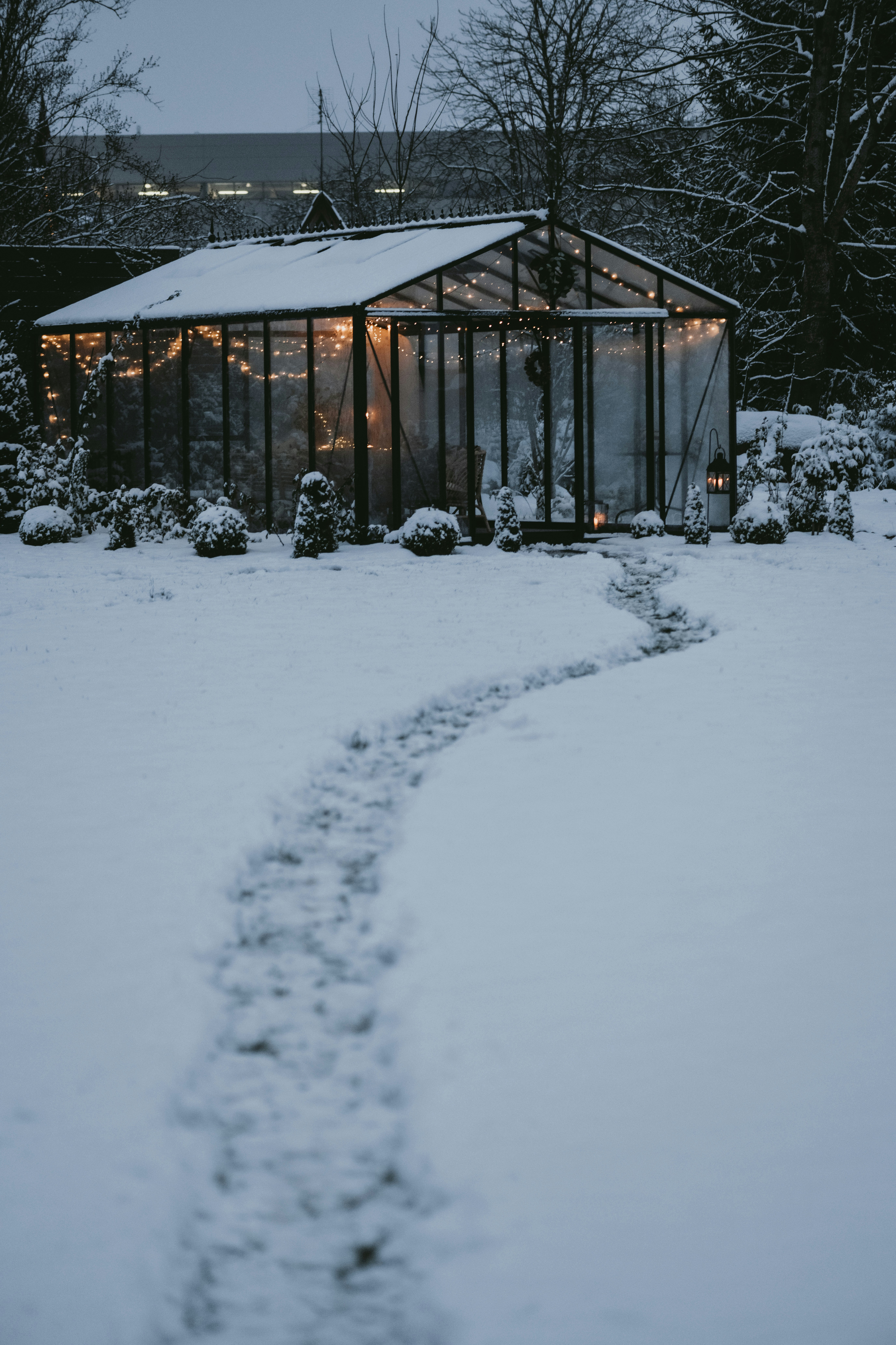 Glasshouse Glow: Snowbound Path to Warm Light