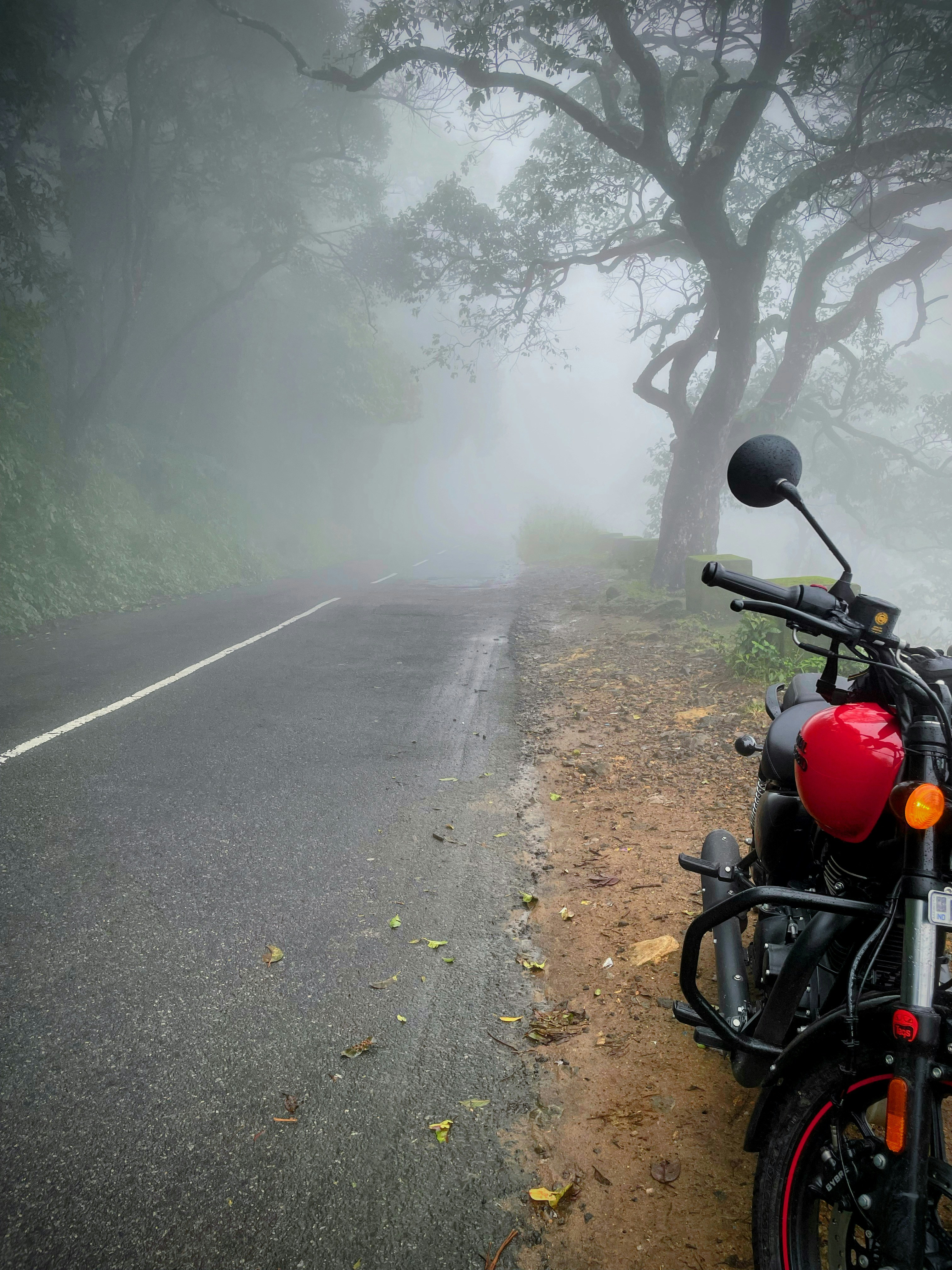 Crimson Chrome on a Fog-Wrapped Road