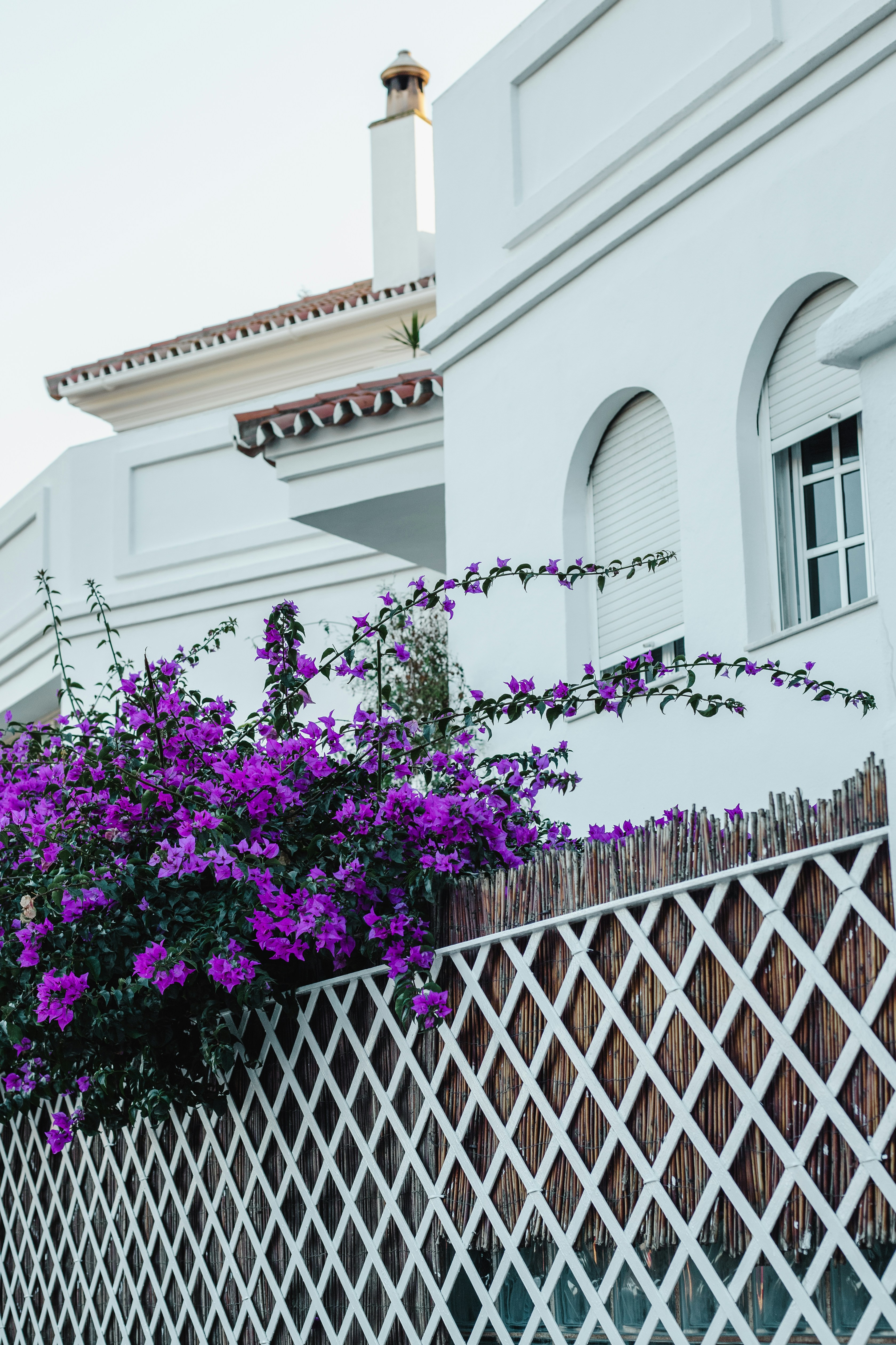 Photo by Yuliya Matuzava with Canon EOS 6D Mark II