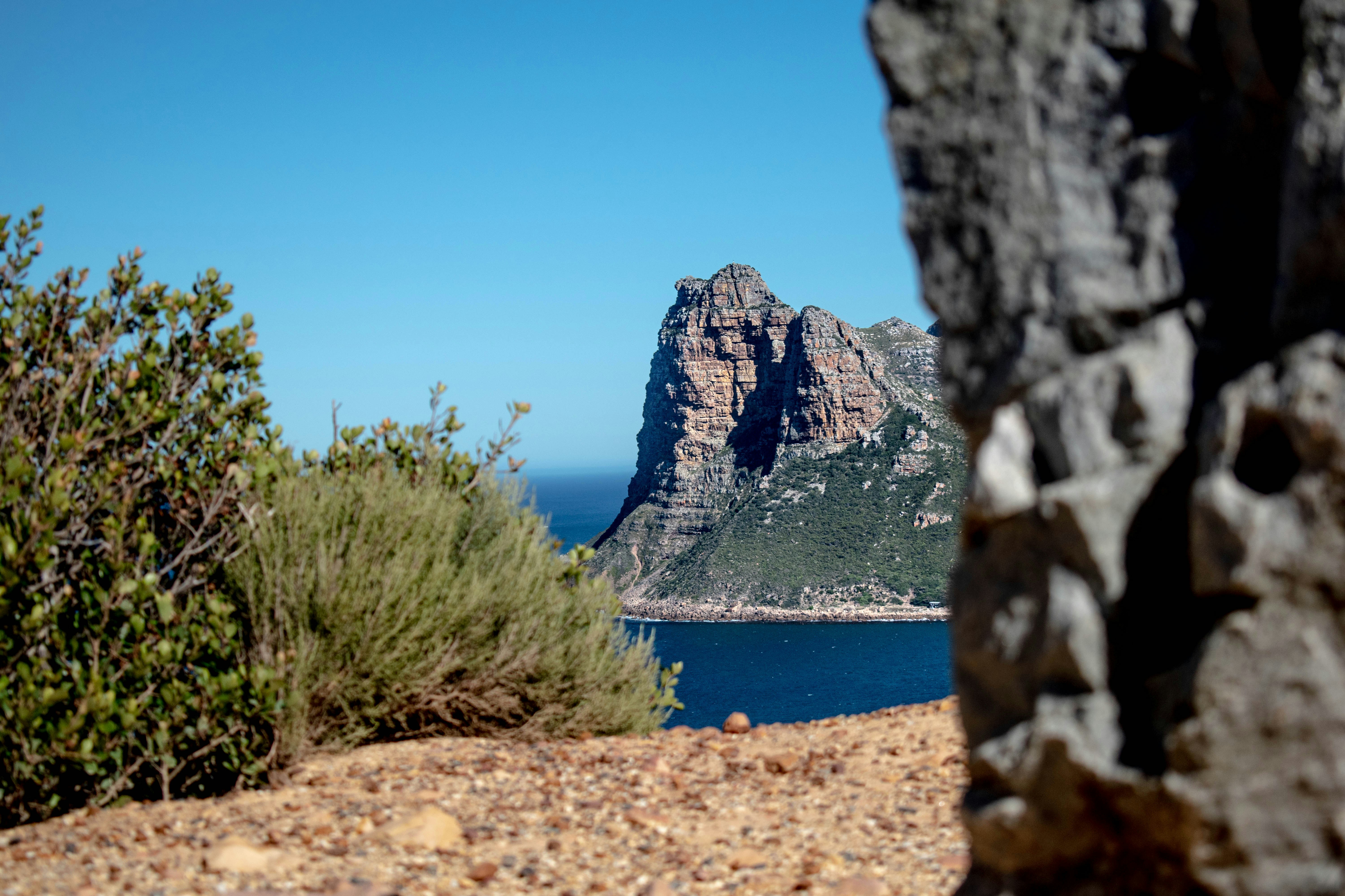 Majestic rock formation rising from the ocean, framed by coastal vegetation. The clear blue sky enhances the serene coastal landscape.